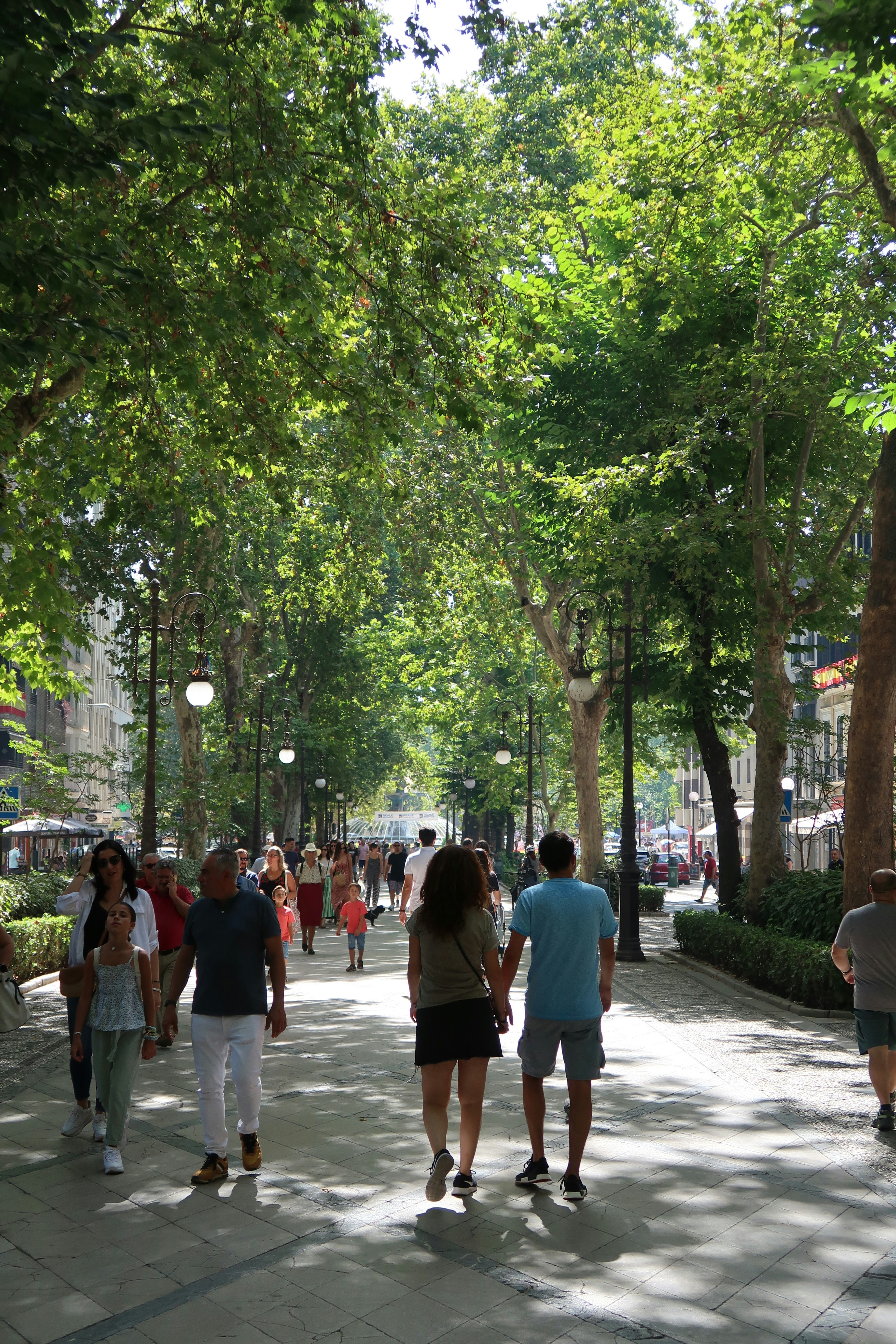 A Pedestrian Fairway Under Canopy of City Shade