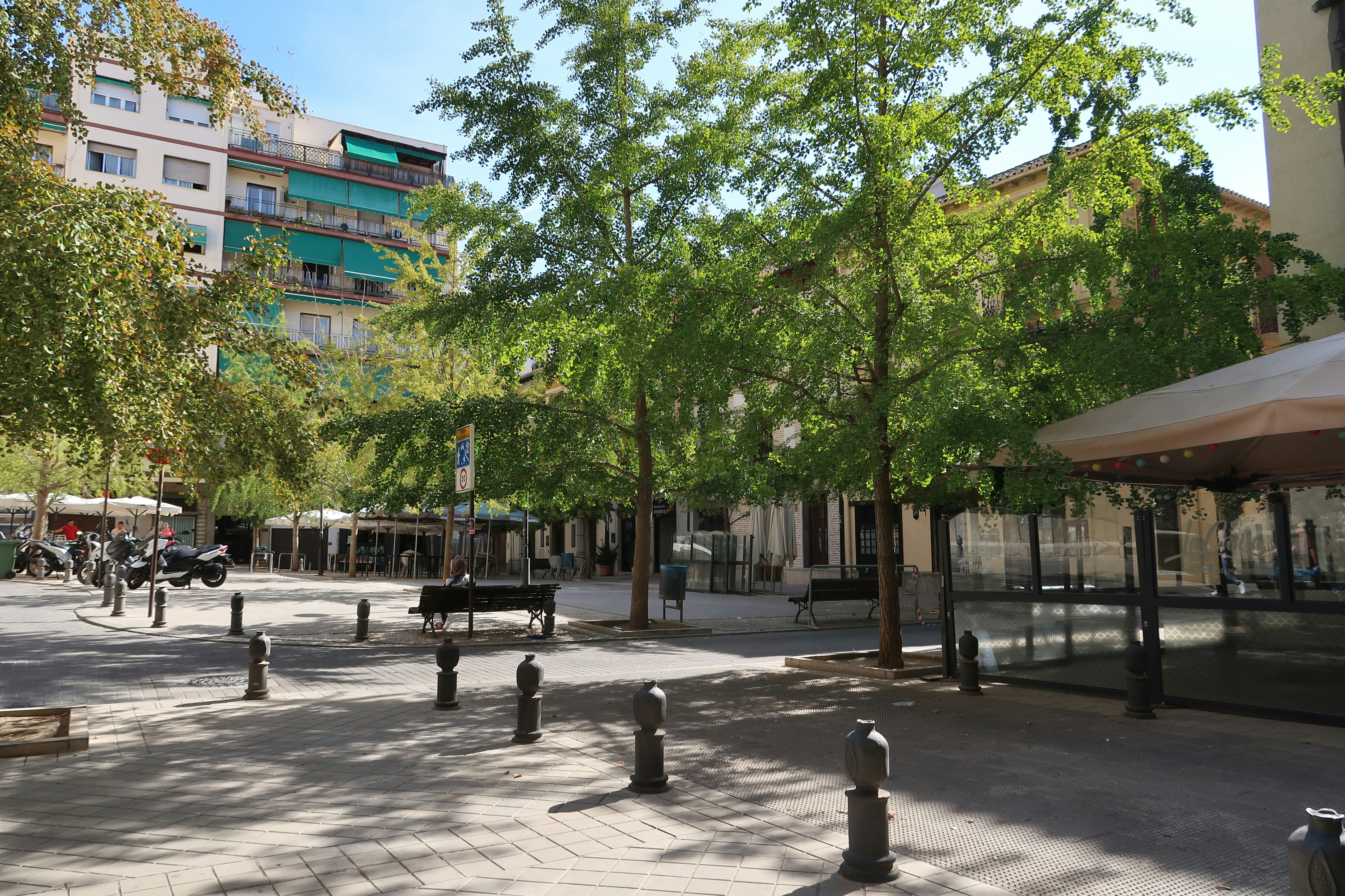Sunlit Plaza with Shaded Pathways and Tree Canopy
