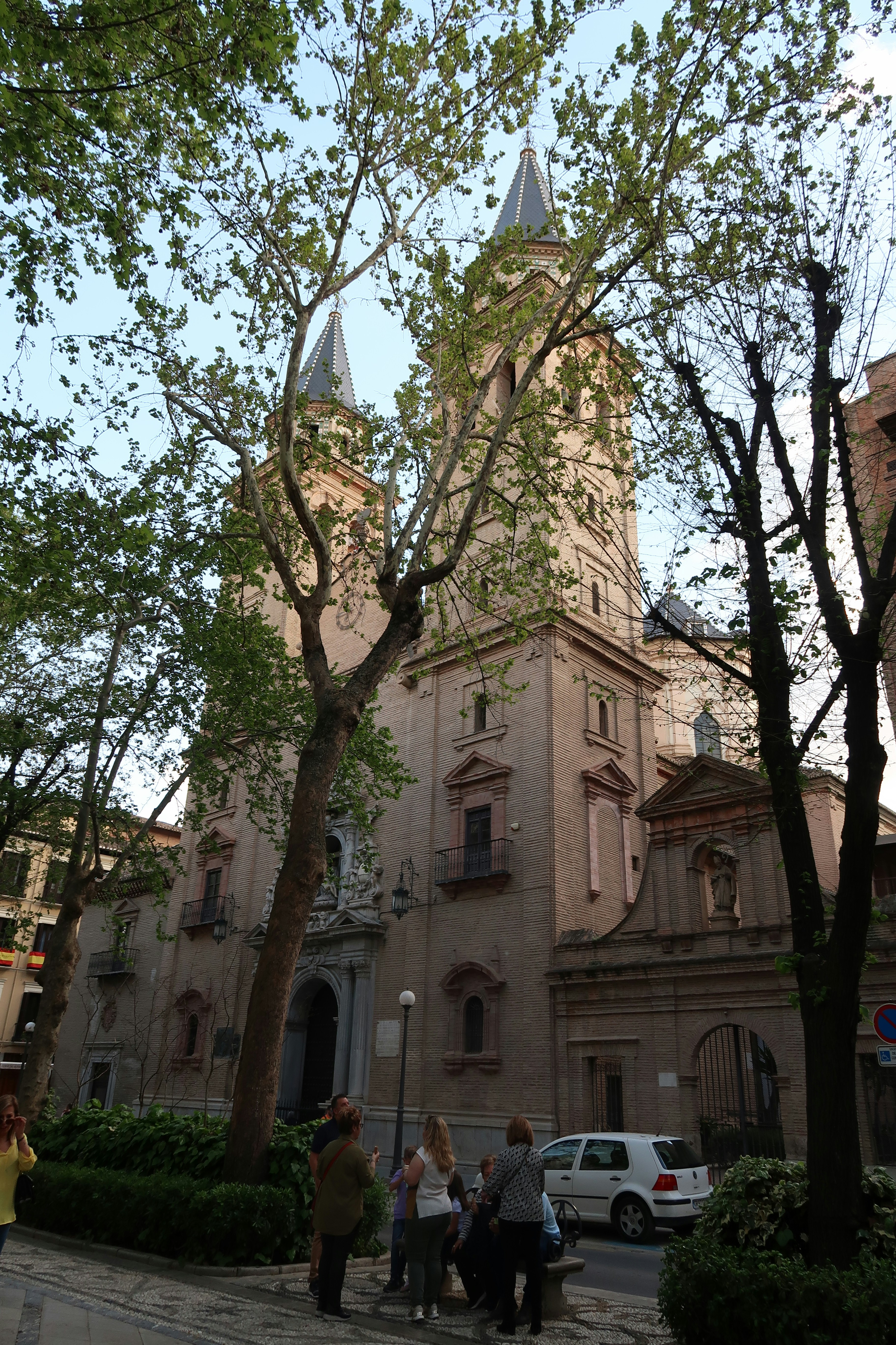 Cathedral Towers Emerging Through a Canopy of Urban Trees