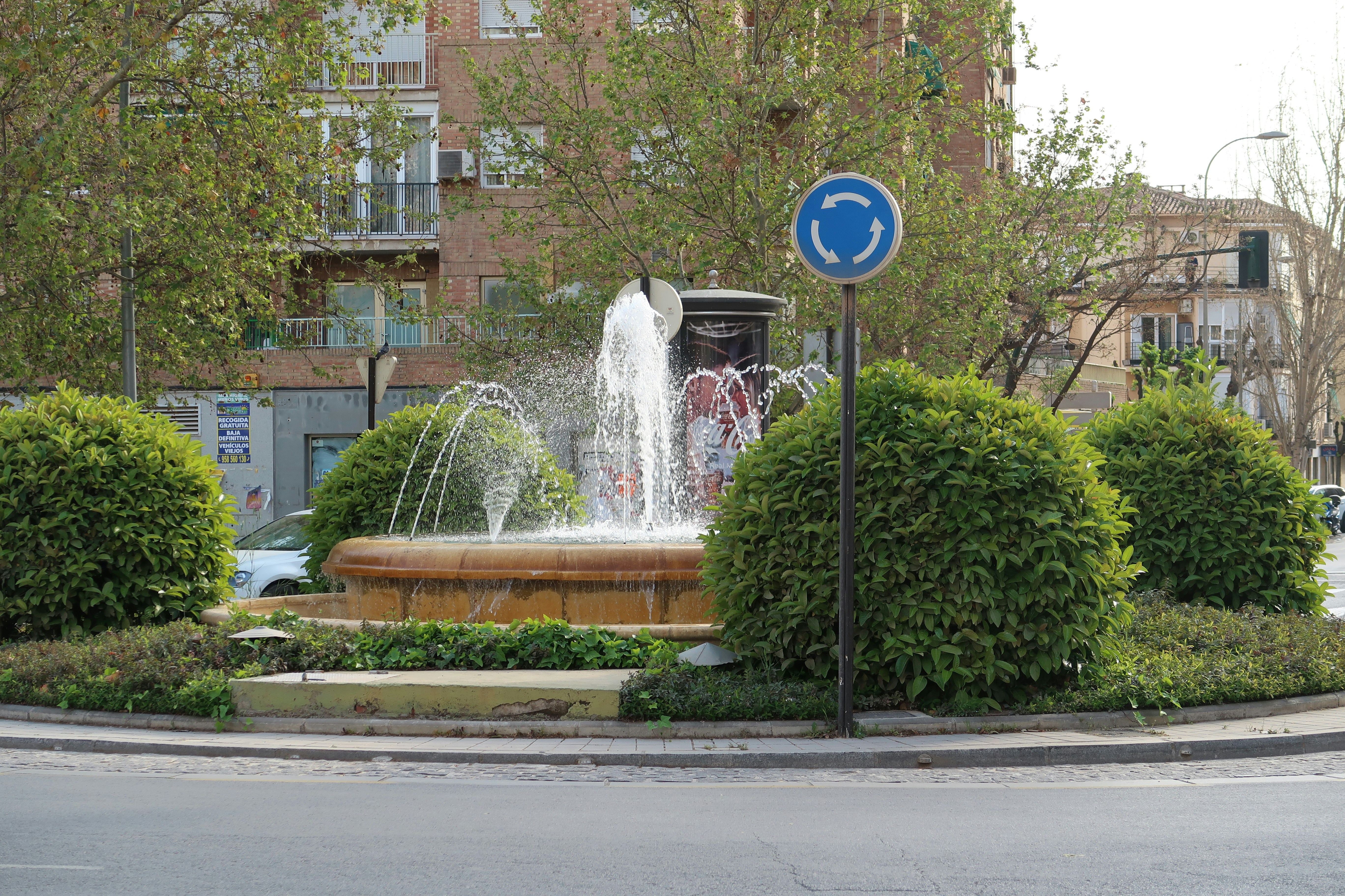 Corner Fountain Circle: Greenery Framing a Quiet Street Roundabout