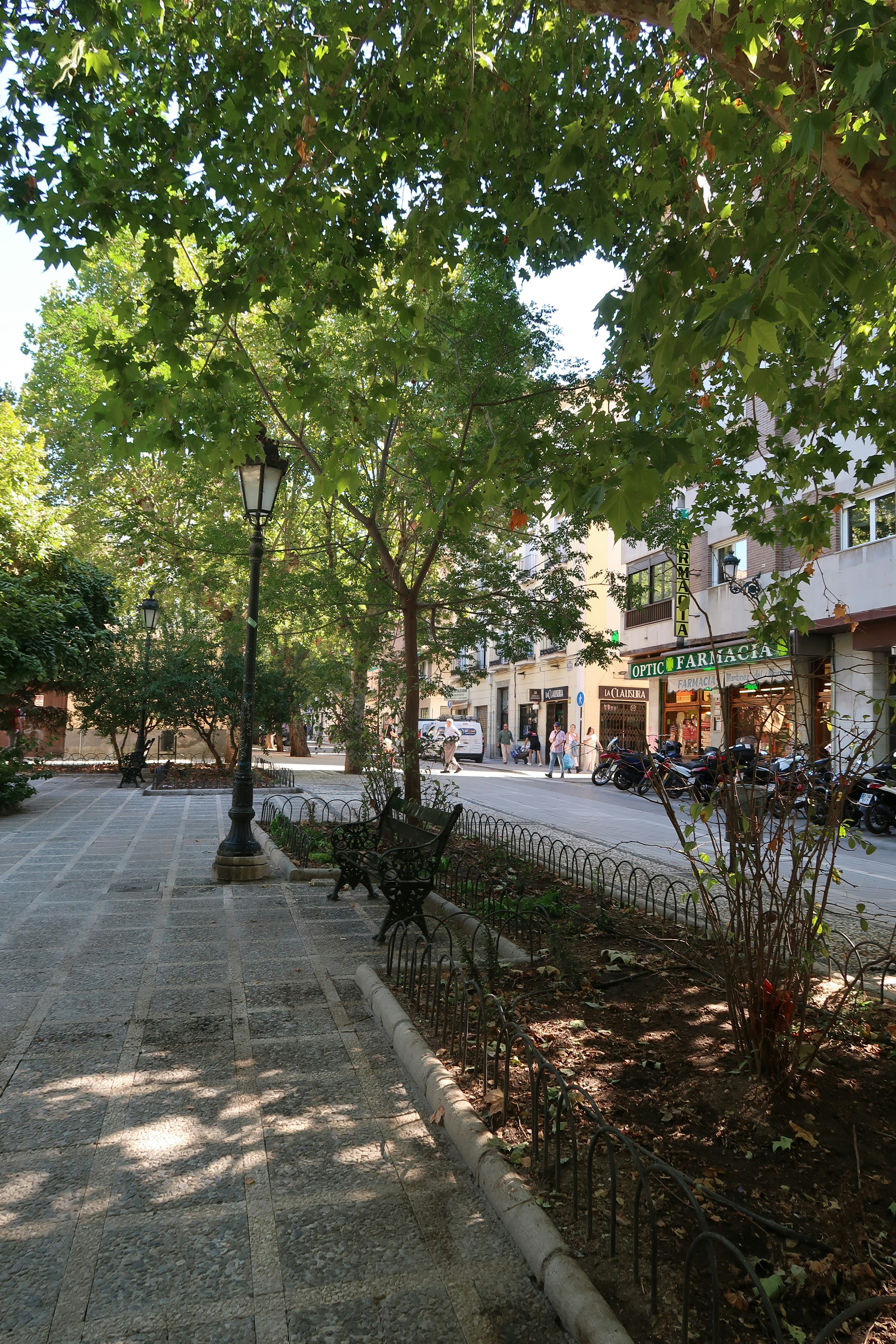 Urban canopy: sunlight, shadows, and a street-level plaza