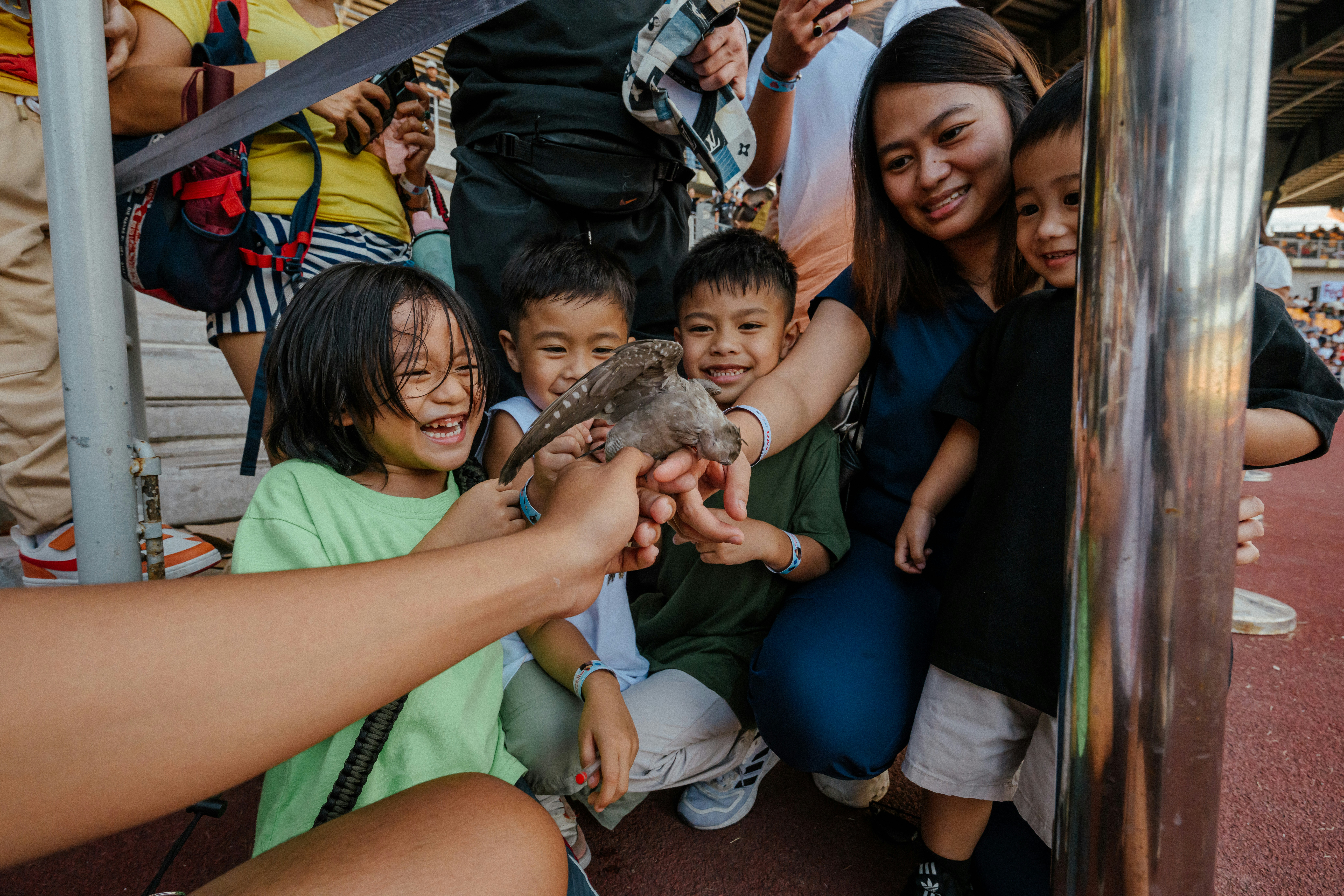 Curious Hands and Grinning Faces: A Shared Mystery at the Gate
