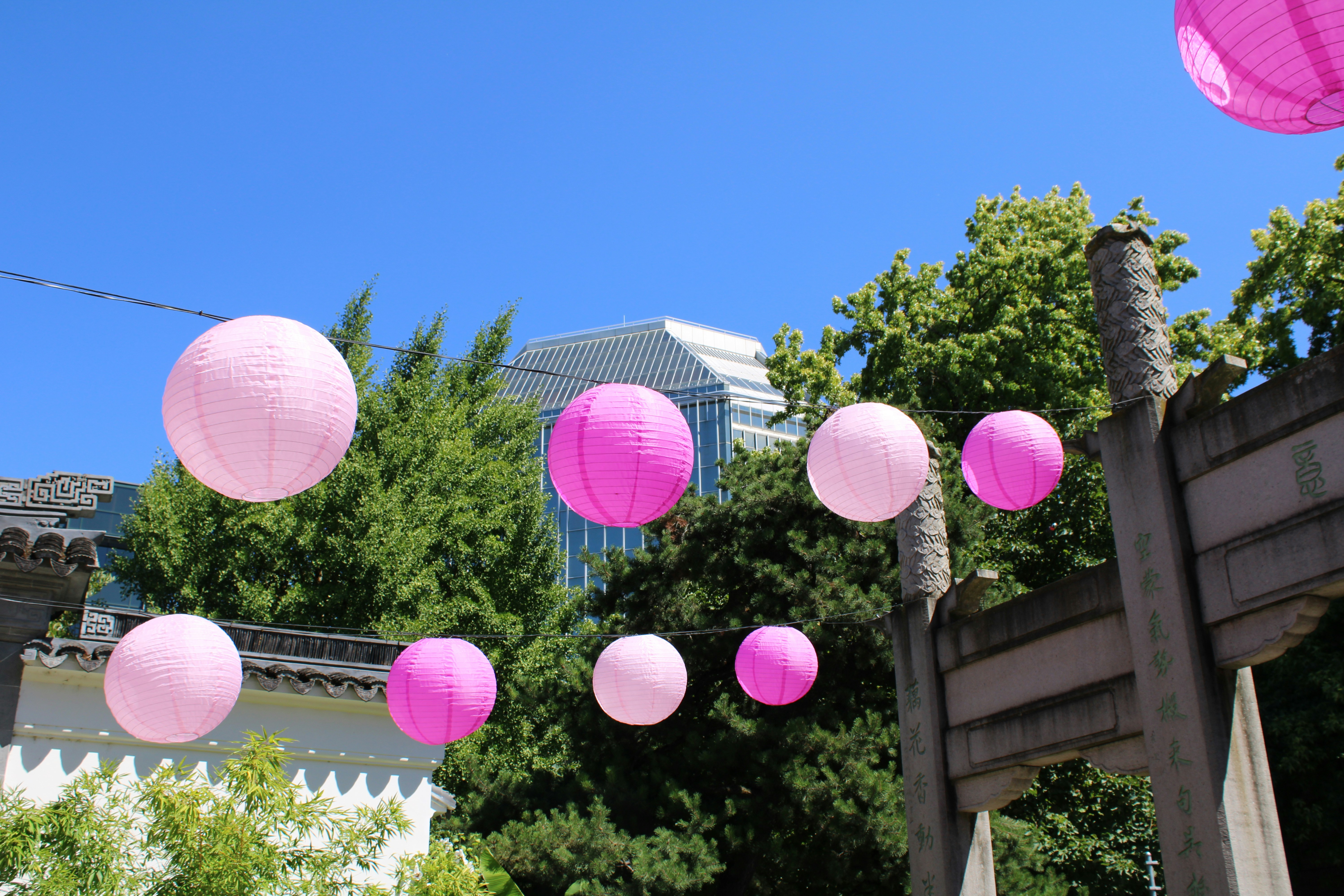 String of Pink Lanterns Float Above a Sunny Courtyard