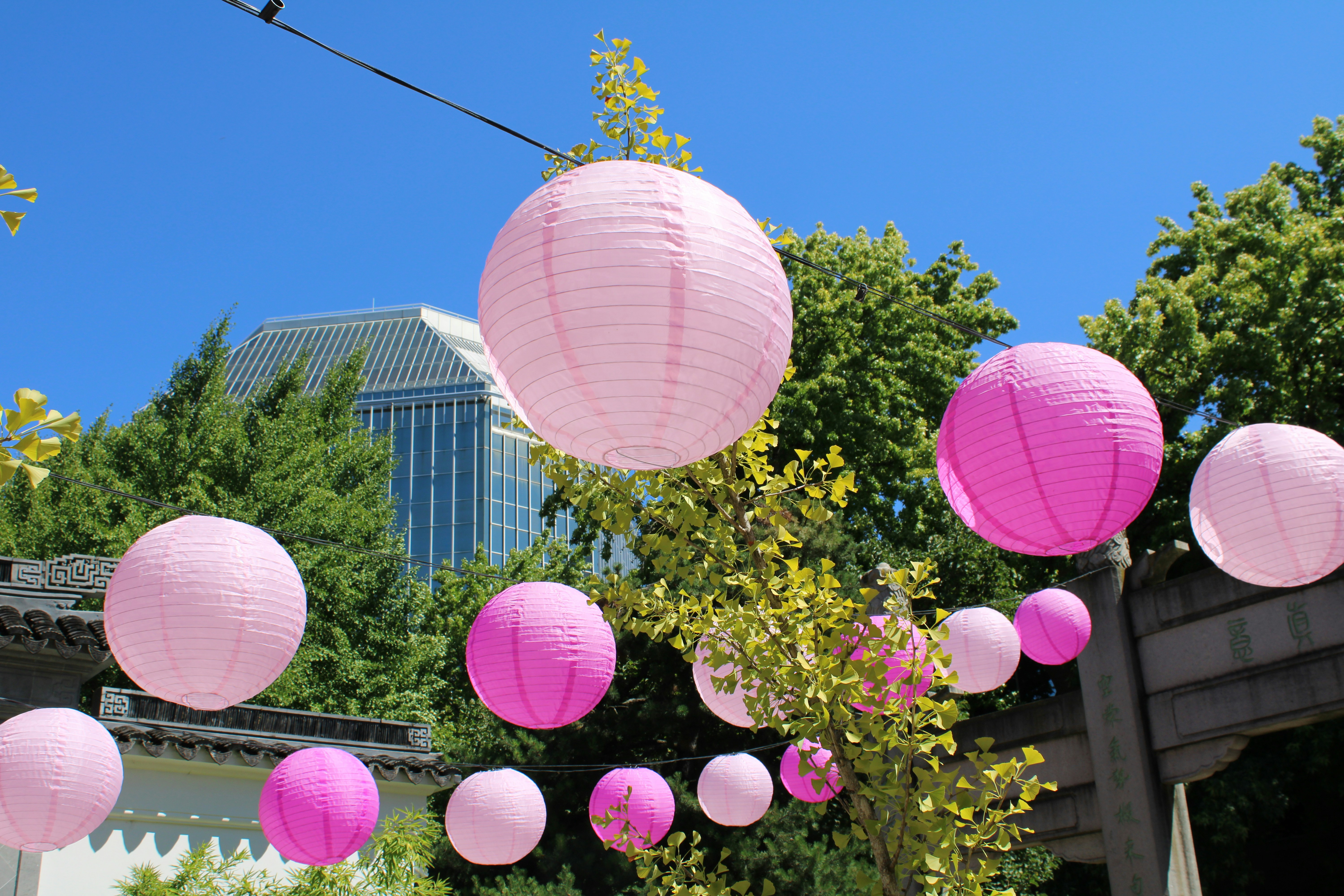 Colorful pink paper lanterns float against a bright blue sky over a courtyard with greenery and modern glass buildings in the background.
