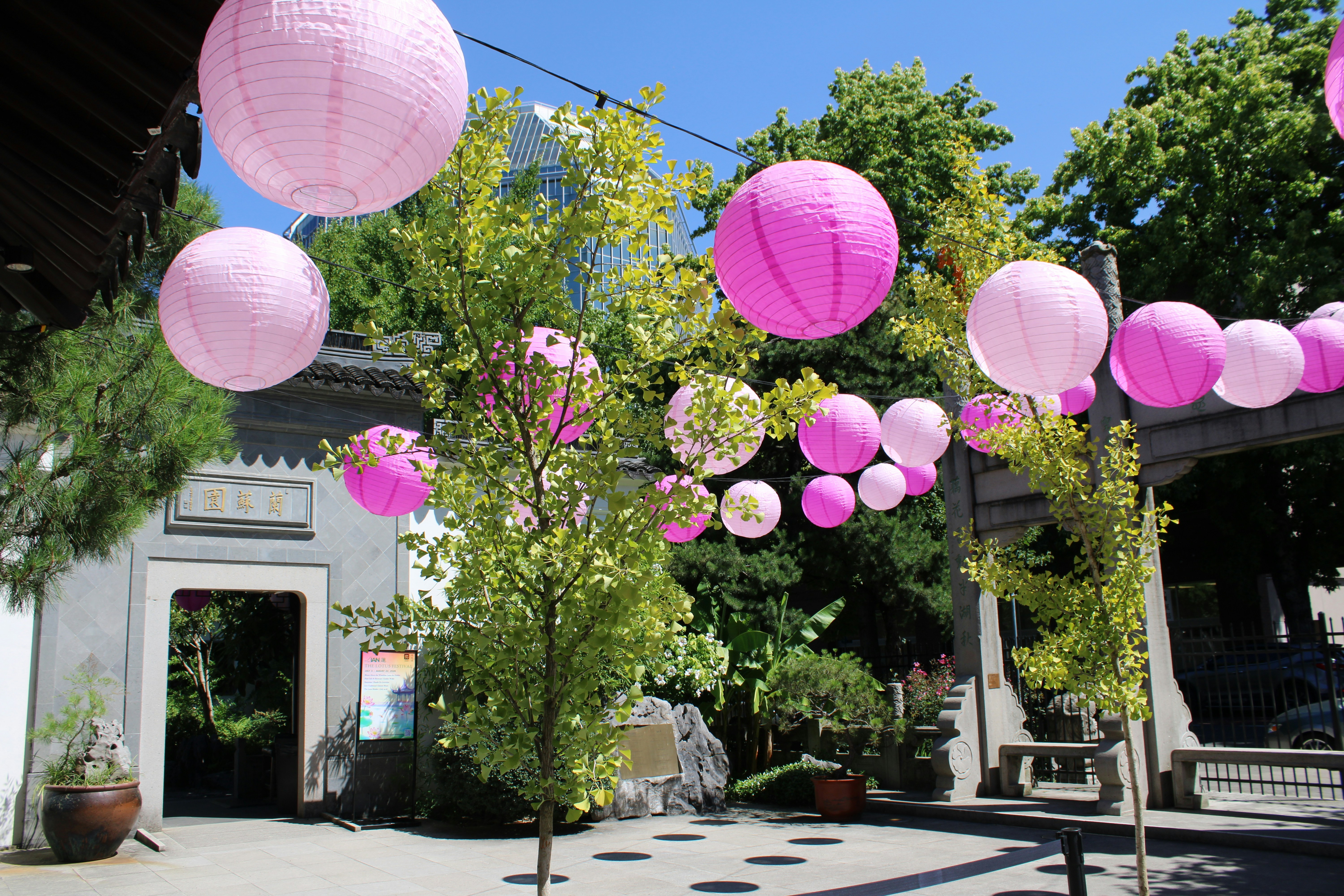 Soft Neon in a Courtyard: Lanterns Float Above a Quiet Garden Wall