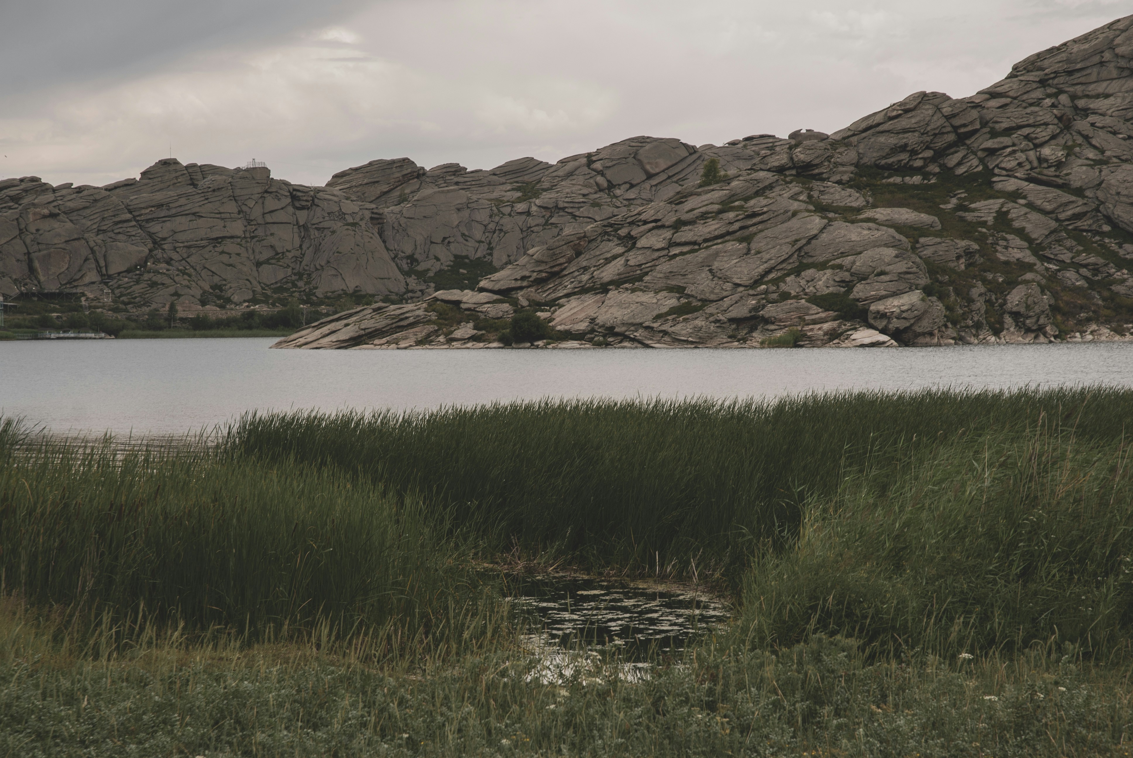 Calm shoreline with tall reeds and a distant rocky ridge, creating a layered landscape composition. This image captures a tranquil wetland edge with stone formations in the background.