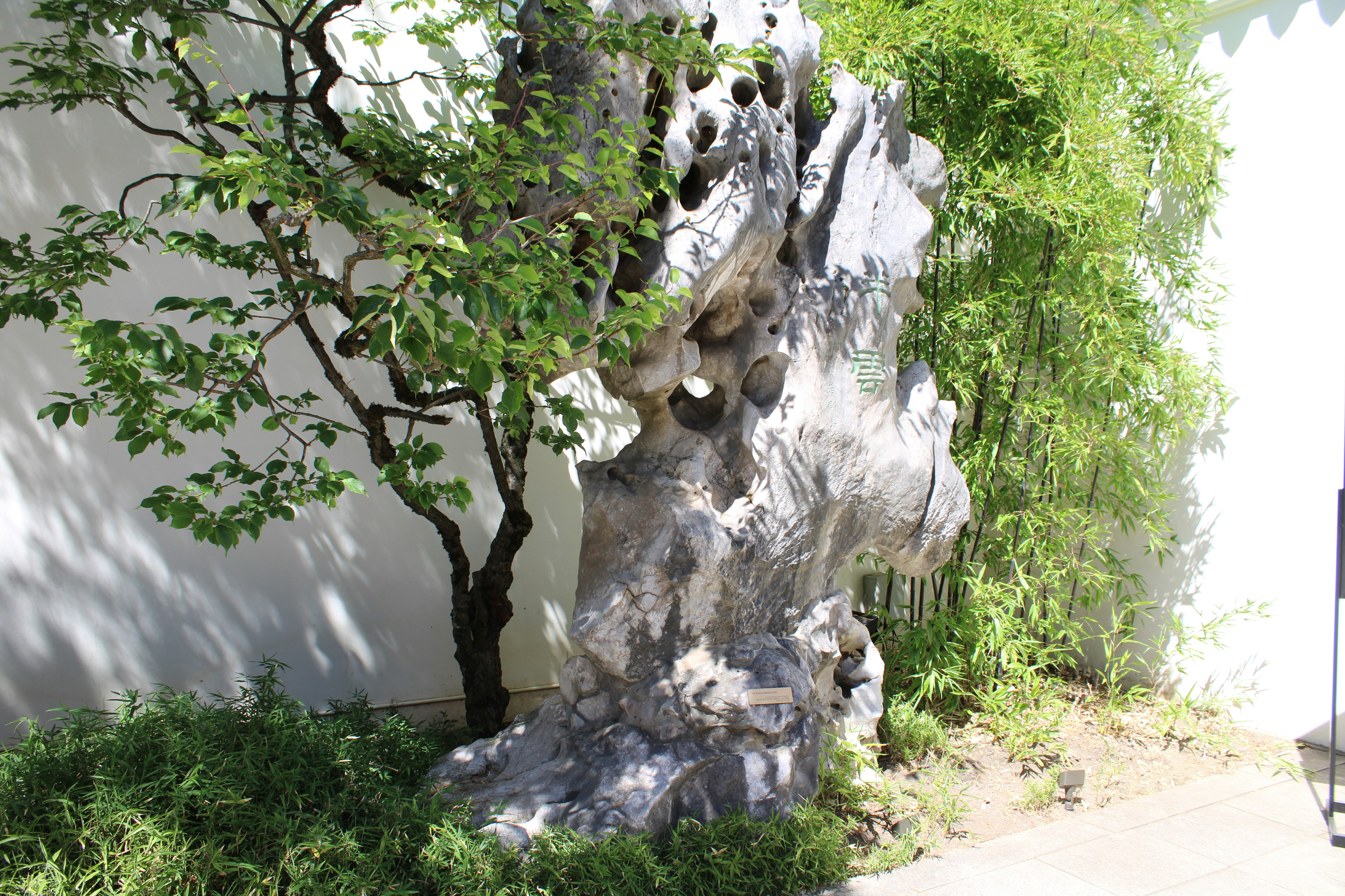 Sculpted Stone Dragon in dappled shade