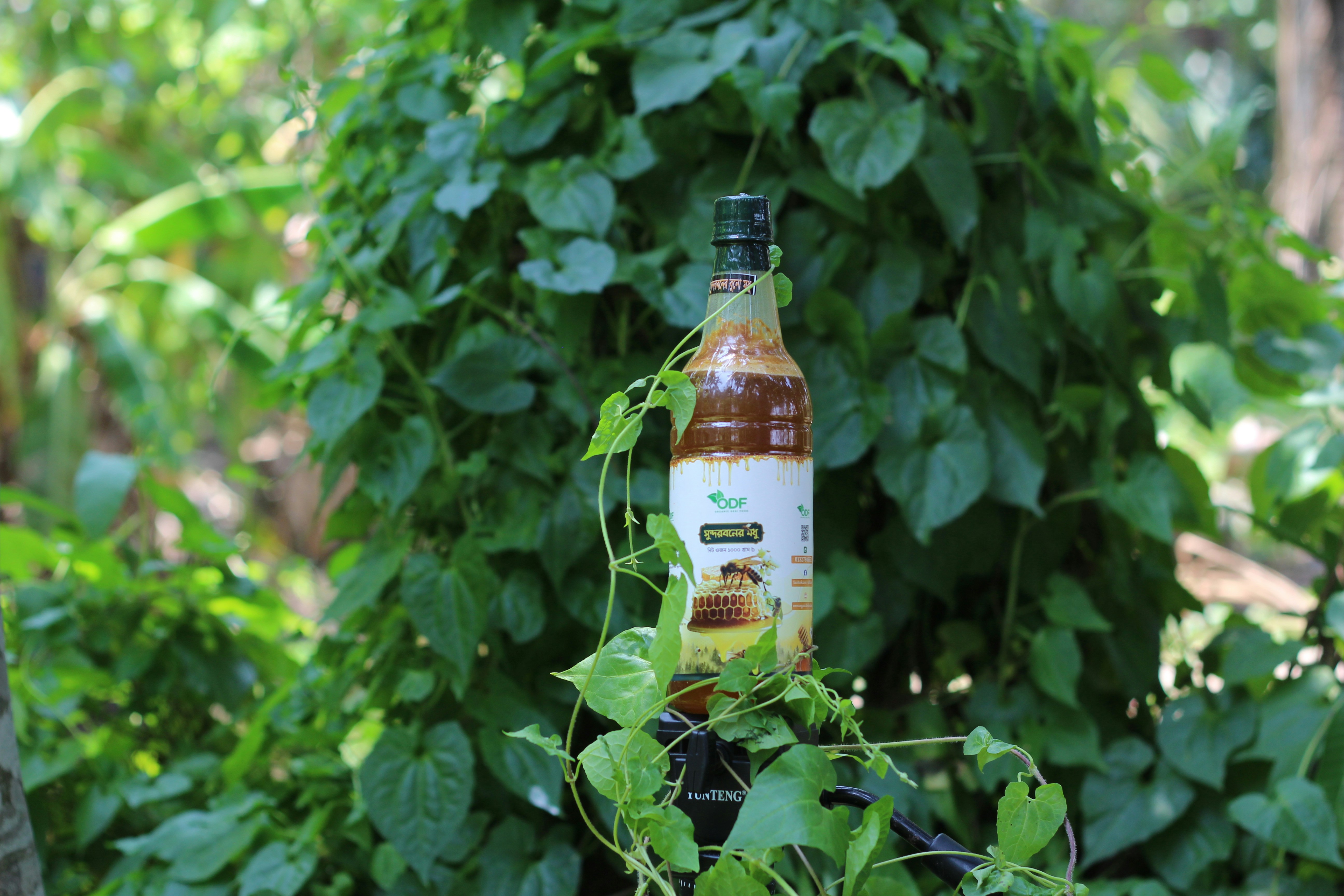 Glowing Bottle Amid Green Vines
