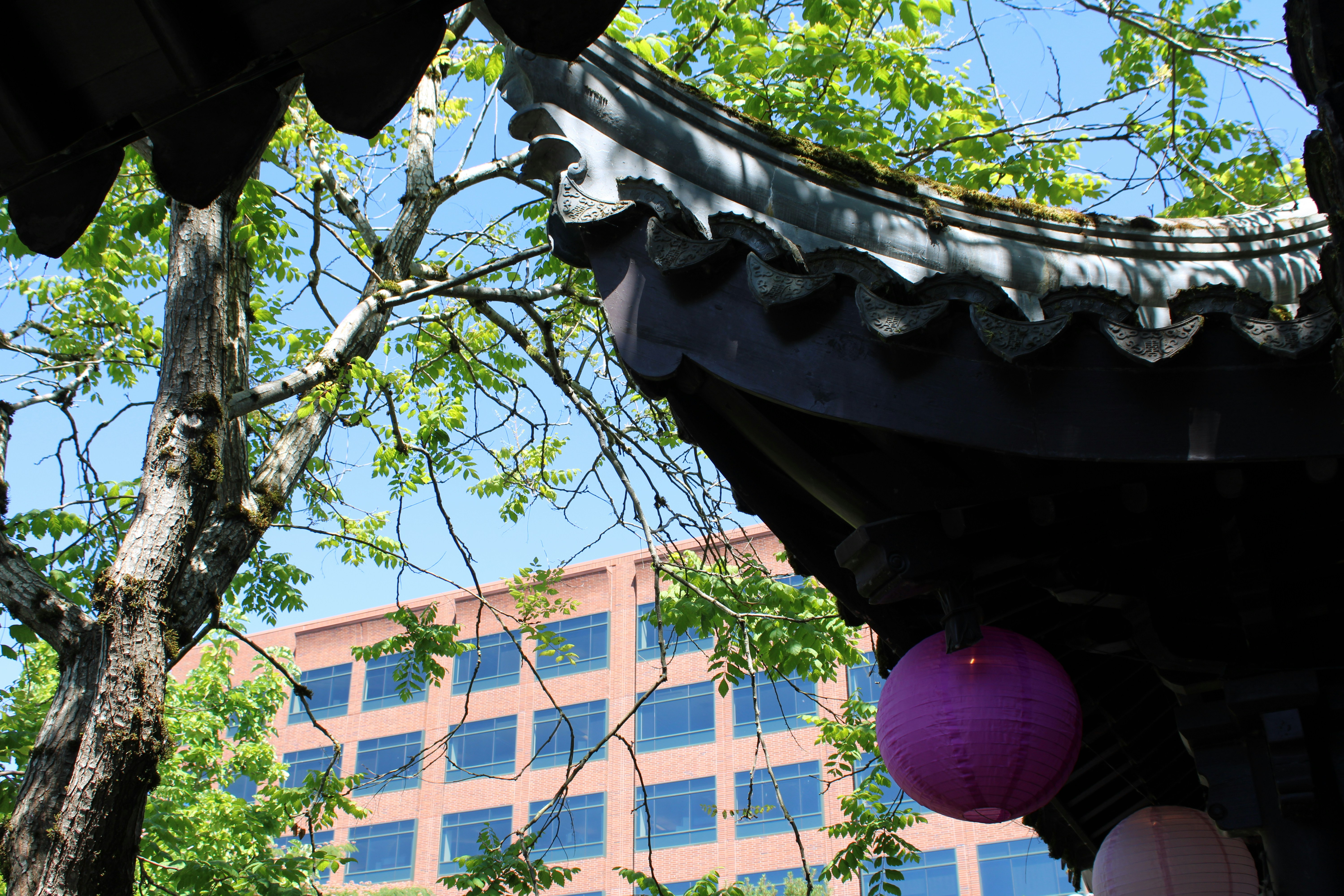 Tile-roof Orbit: Lanterns Hint at a Quiet Corner of the City