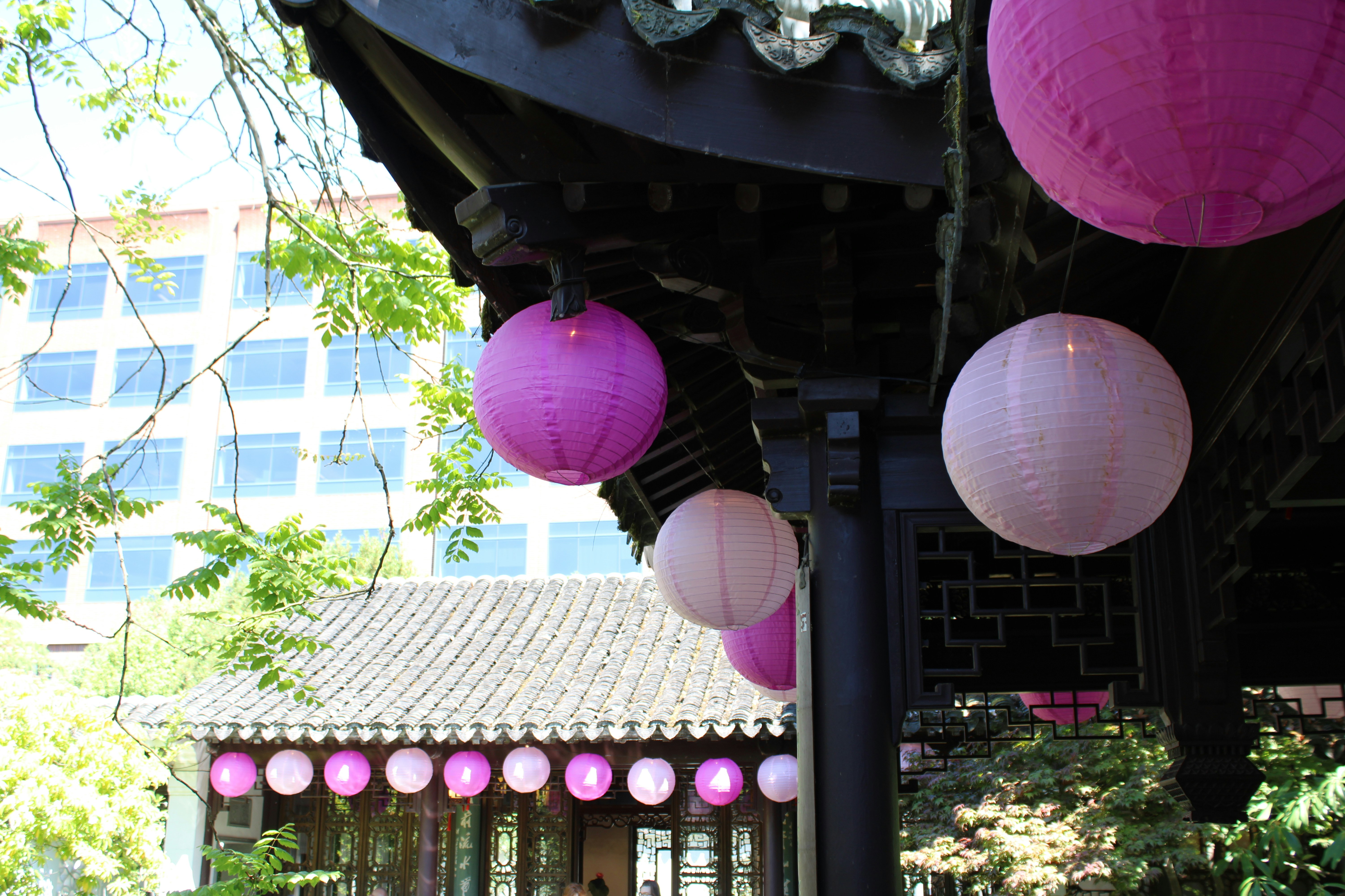 Lanterns in a Quiet Courtyard: Purple Orbs Against Shaded Wood