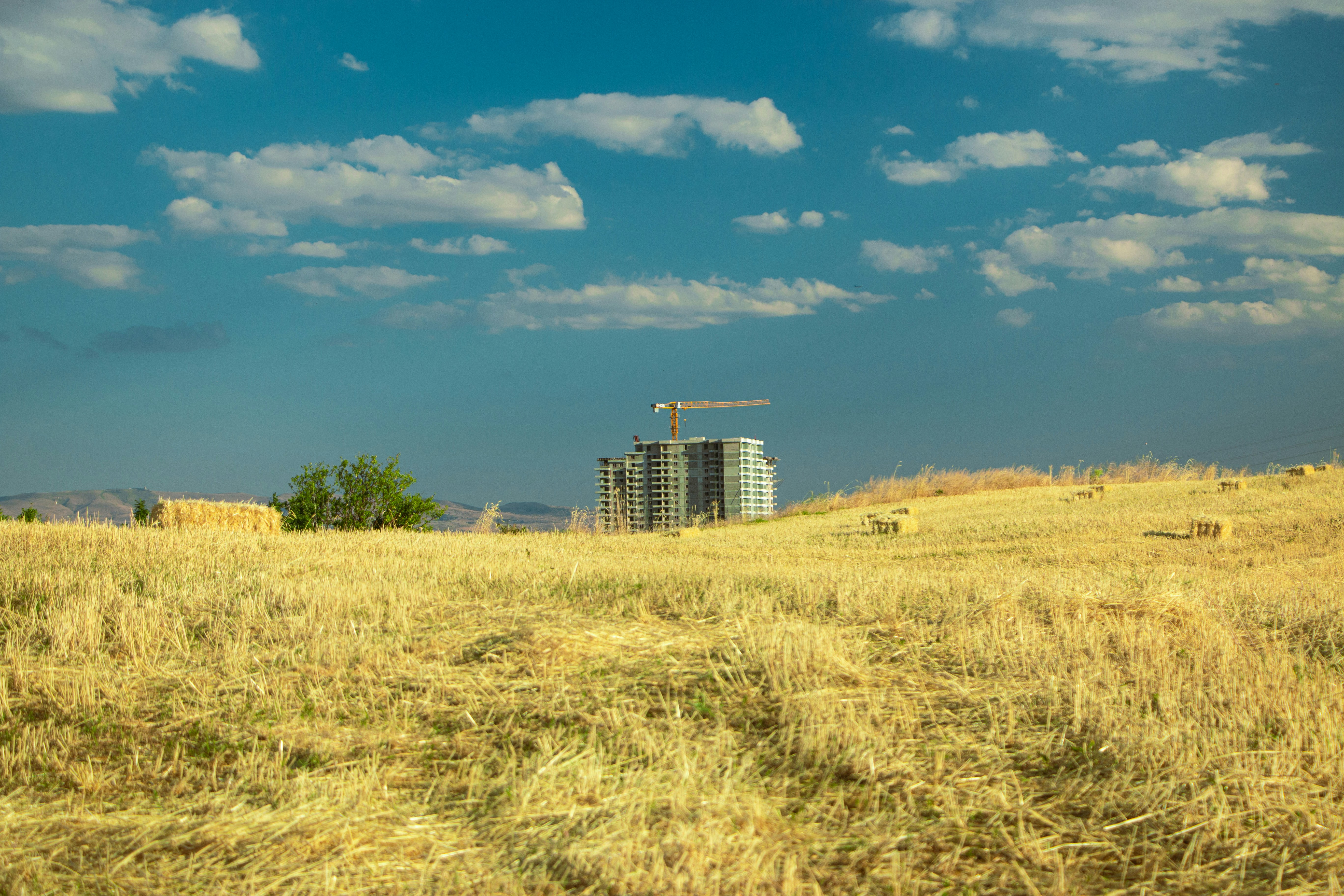 Golden field with a distant construction site on the horizon; a tall building under construction stands against a blue sky with scattered clouds.