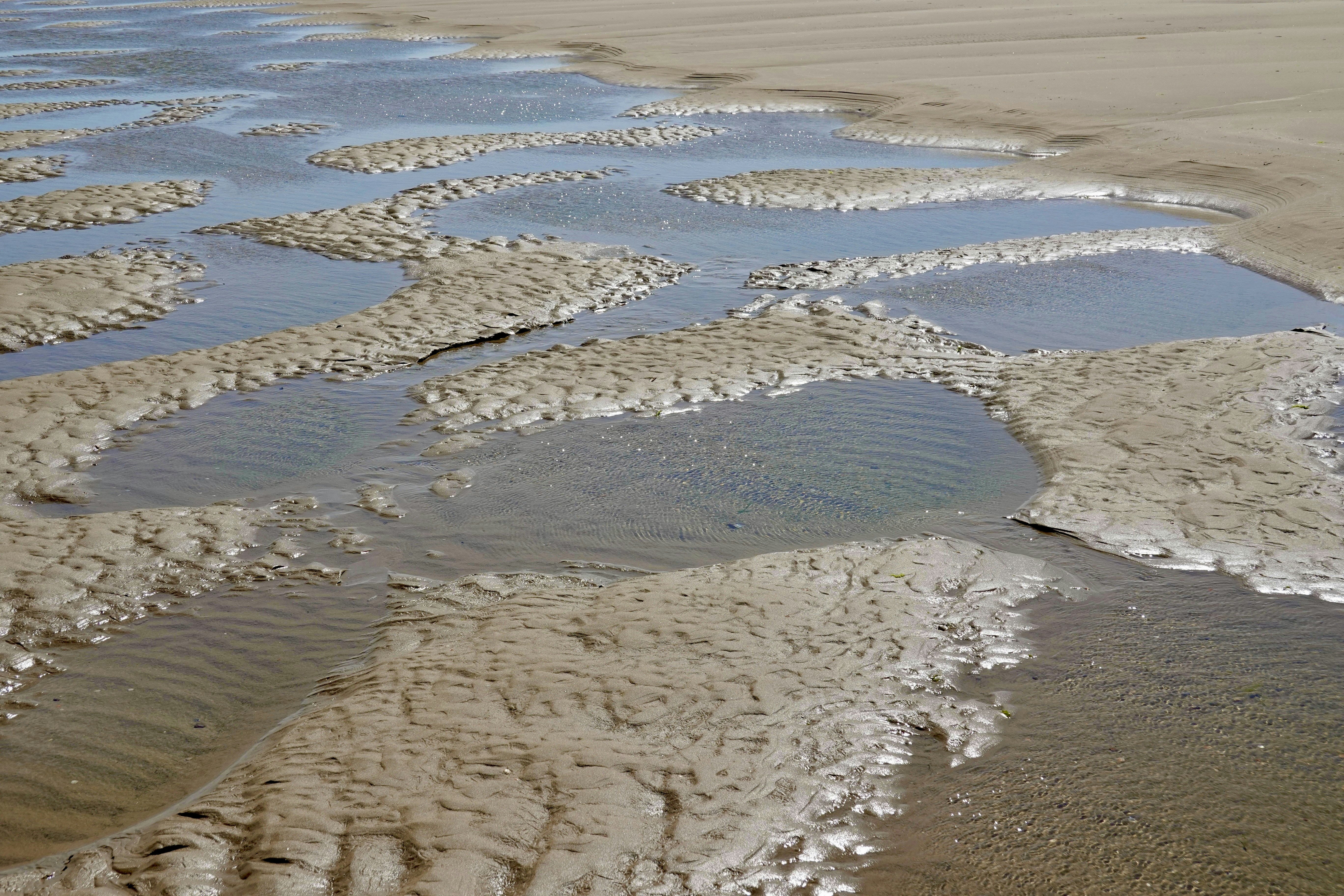 Patterns in the Tidal Canvas: Rivulets Tracing the Sand