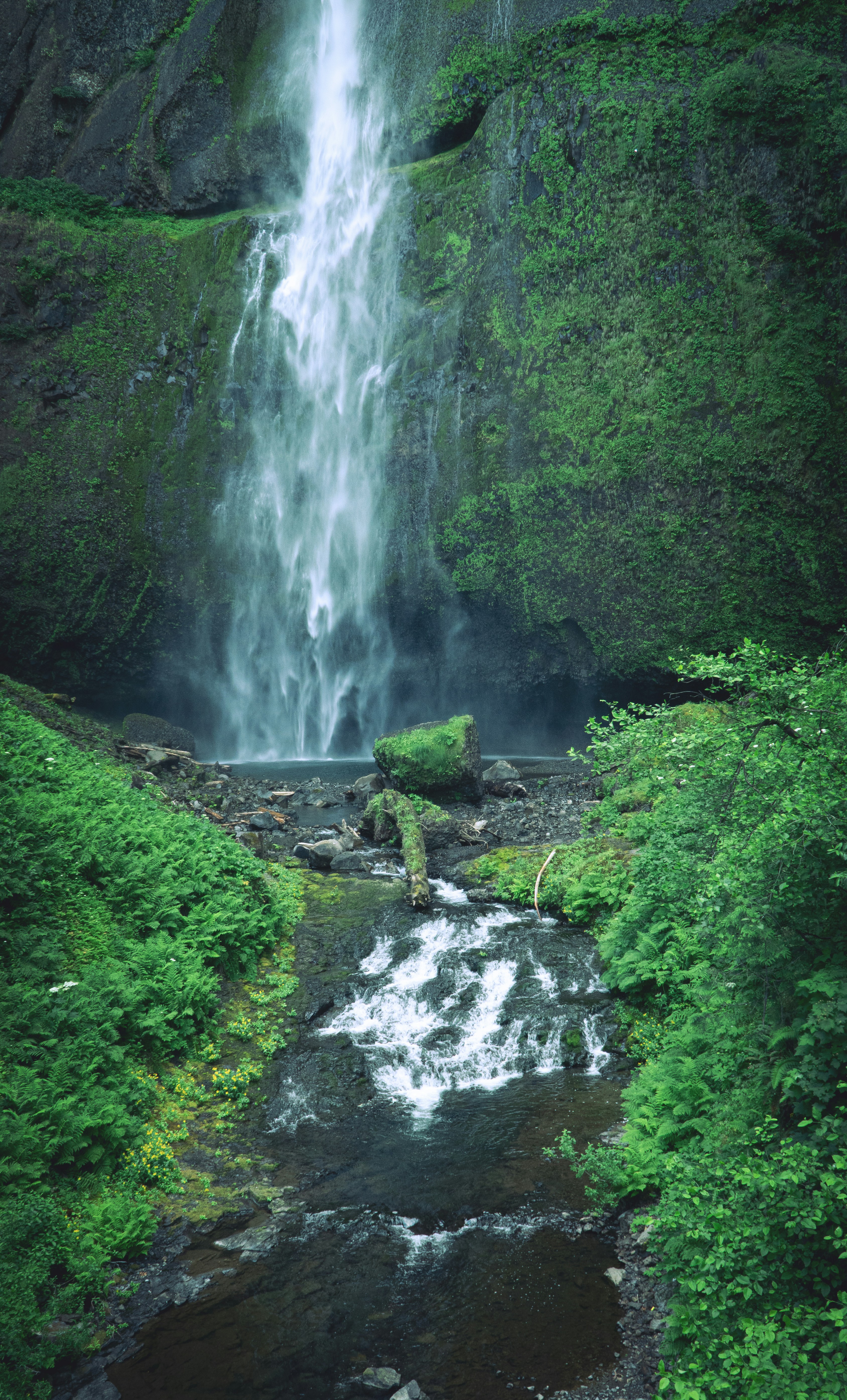 Emerald Cascade: A Hidden Gorge Under Green Veils