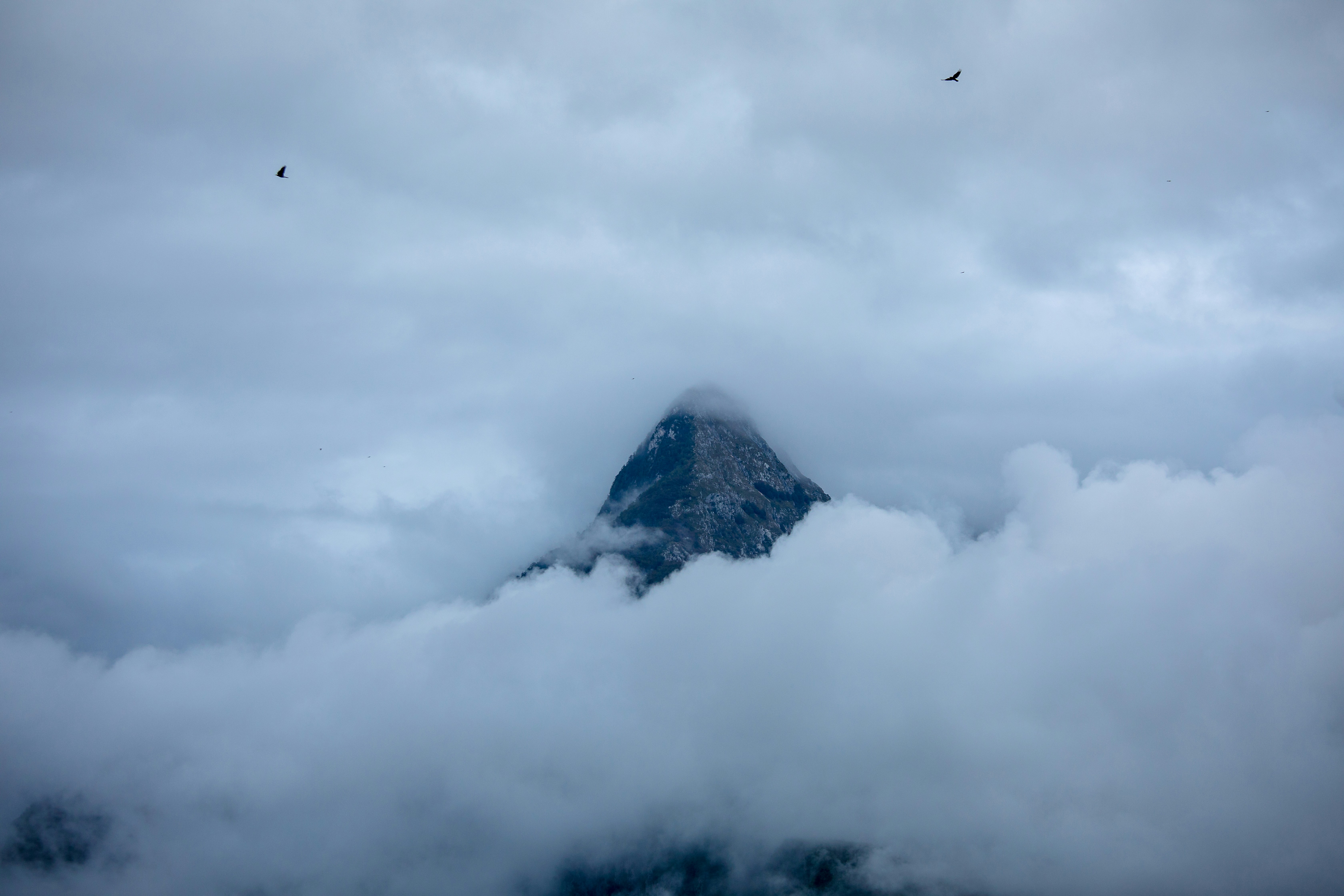 A jagged peak of the Julian Alps in Slovenia pierces through a thick blanket of clouds, with birds soaring through the misty sky above.