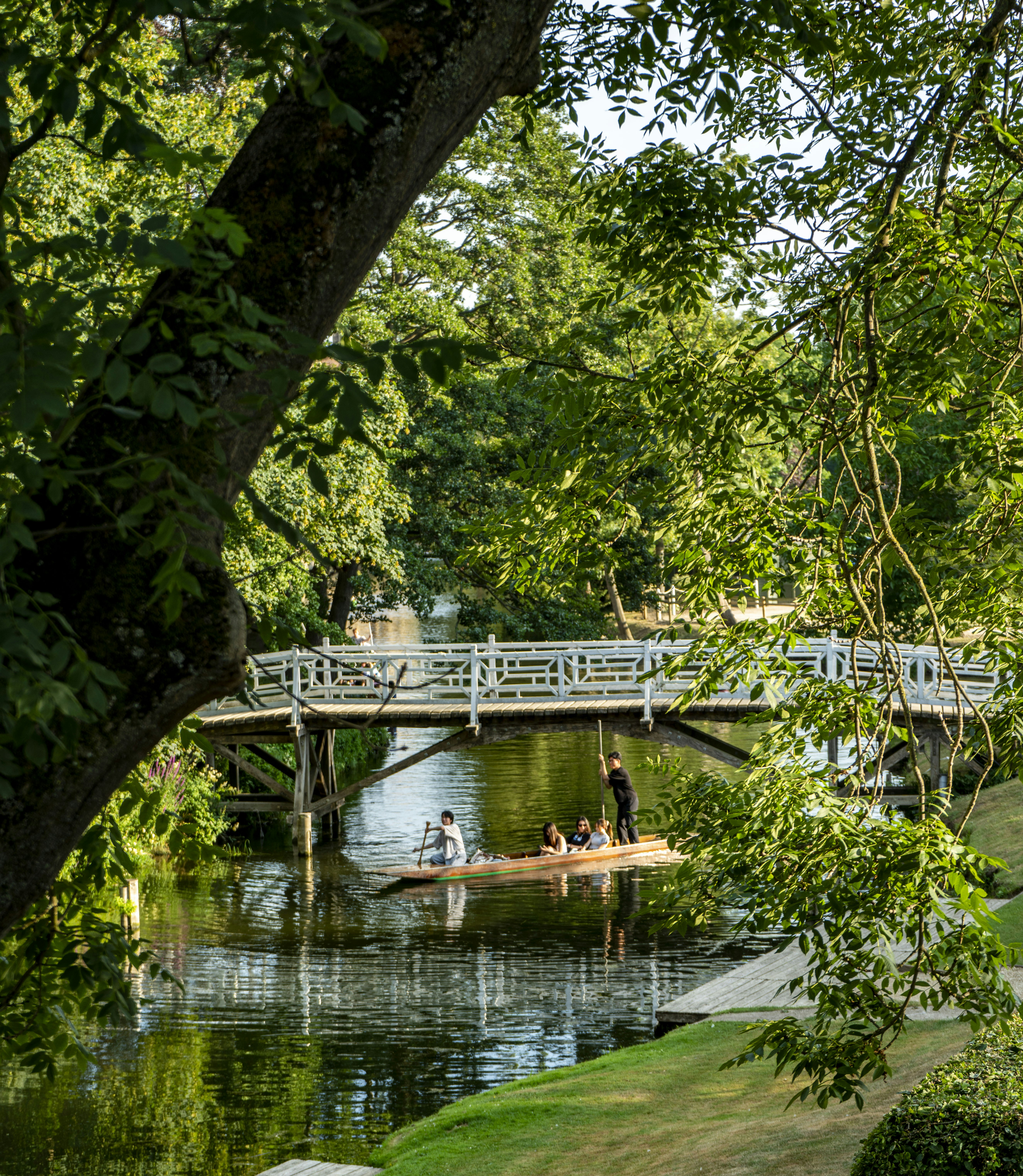Latte in the Lake: A Quiet Row Near the Bridge