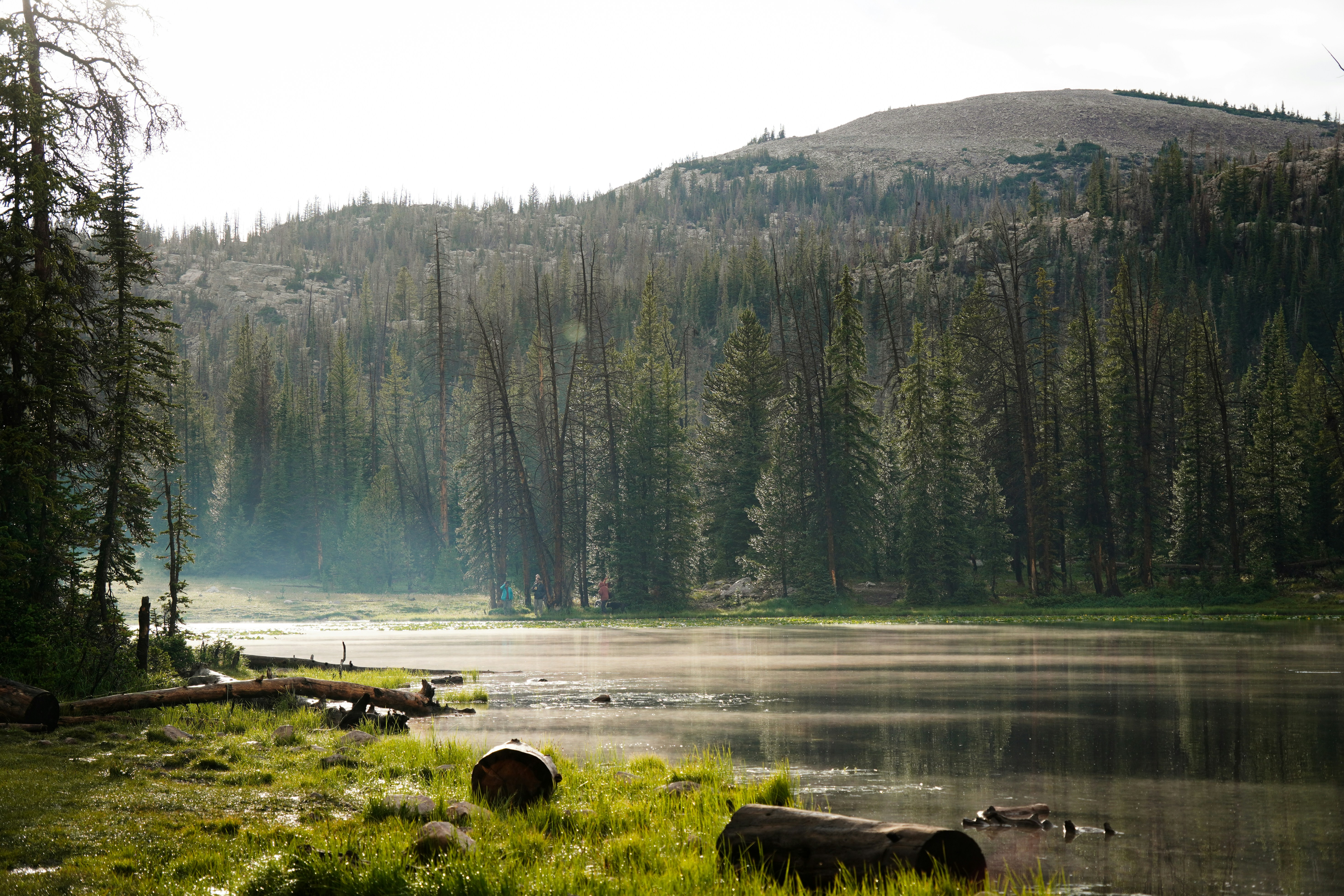 Mist over the Pine-Needle Lake—Morning Stillness by the Forest Edge