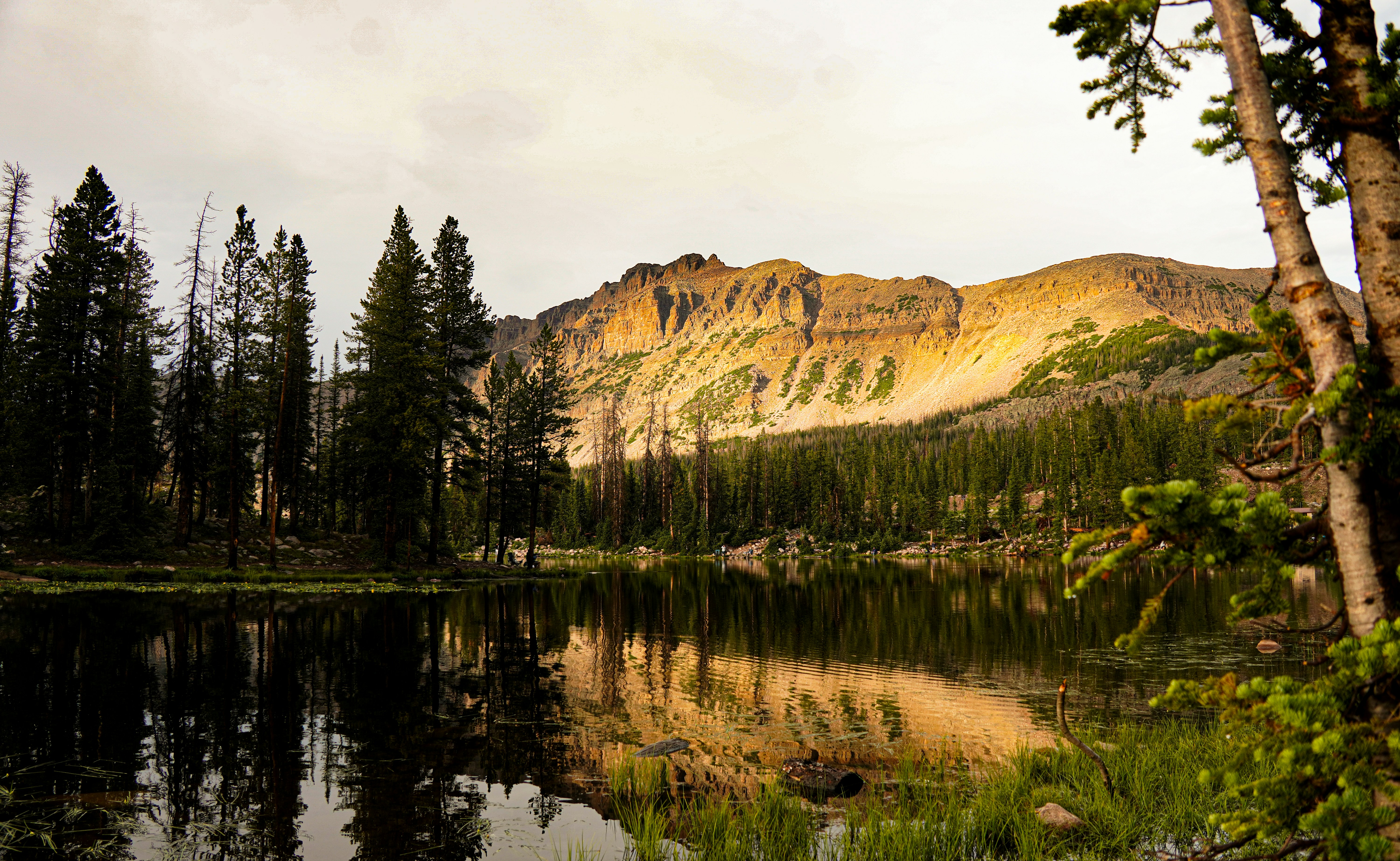 Sunlit Ridge on a Mirror Lake