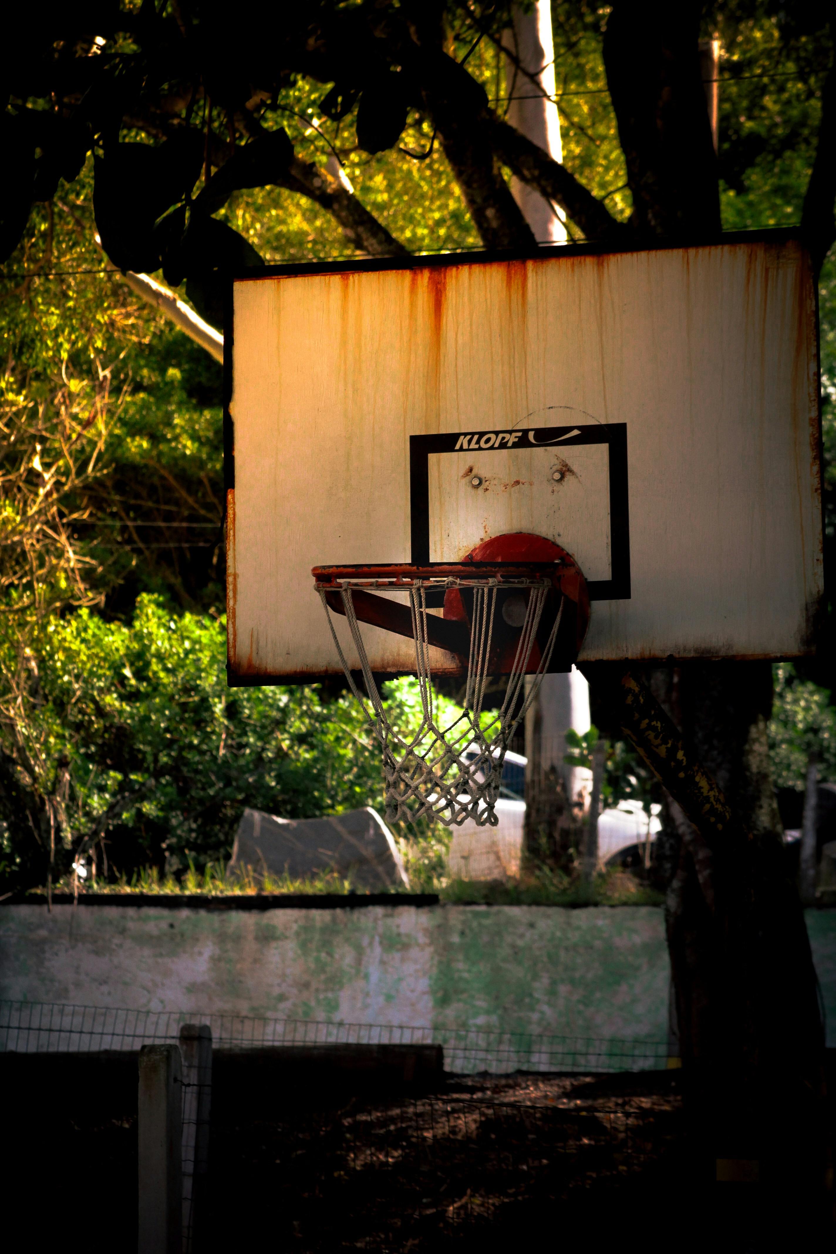 Rust and Net: A Weathered Hoop in the Shade of Green