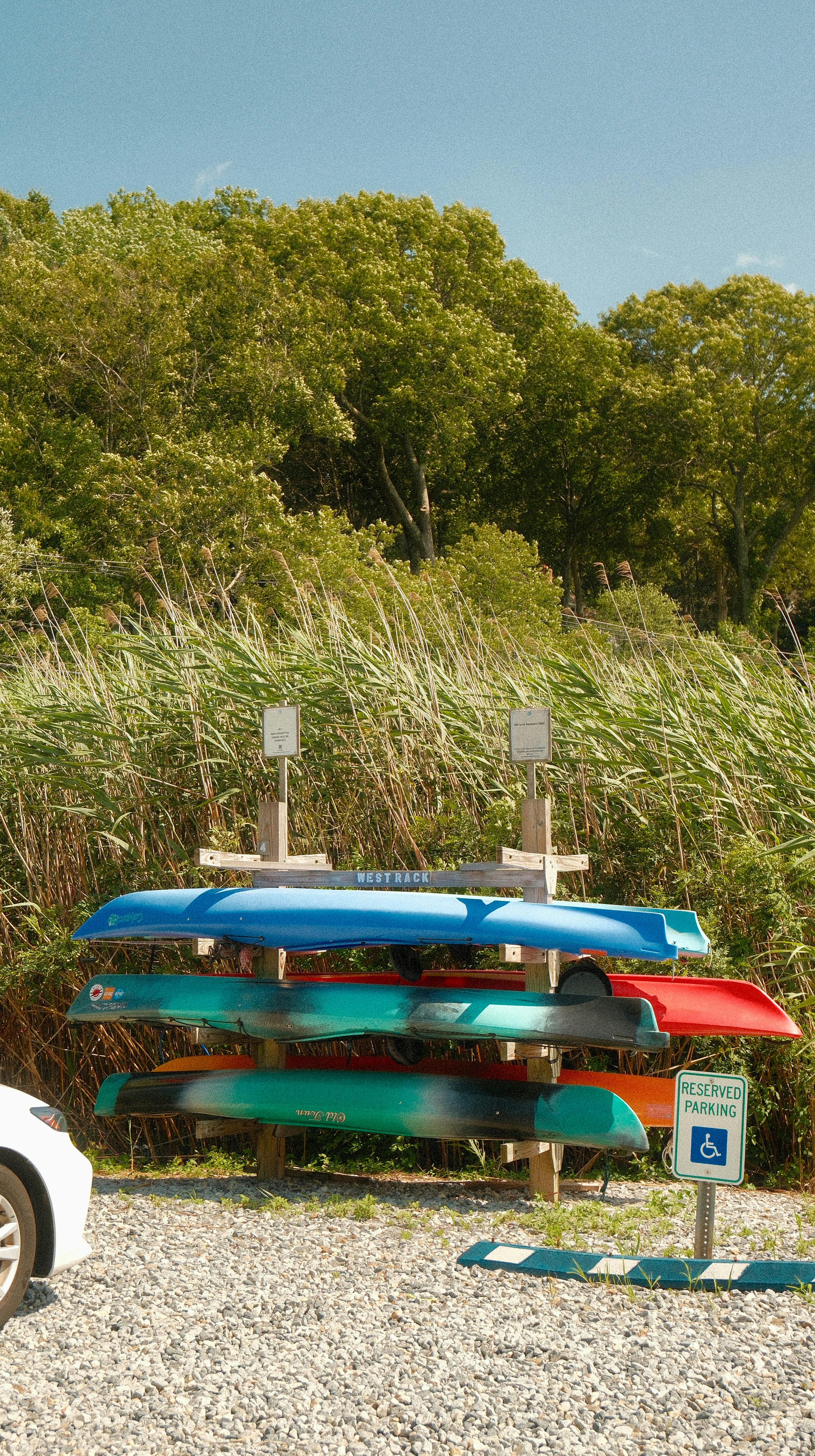 Canoe Array by the Reeds: Stacked Colorful Hulls at the Riverside Park