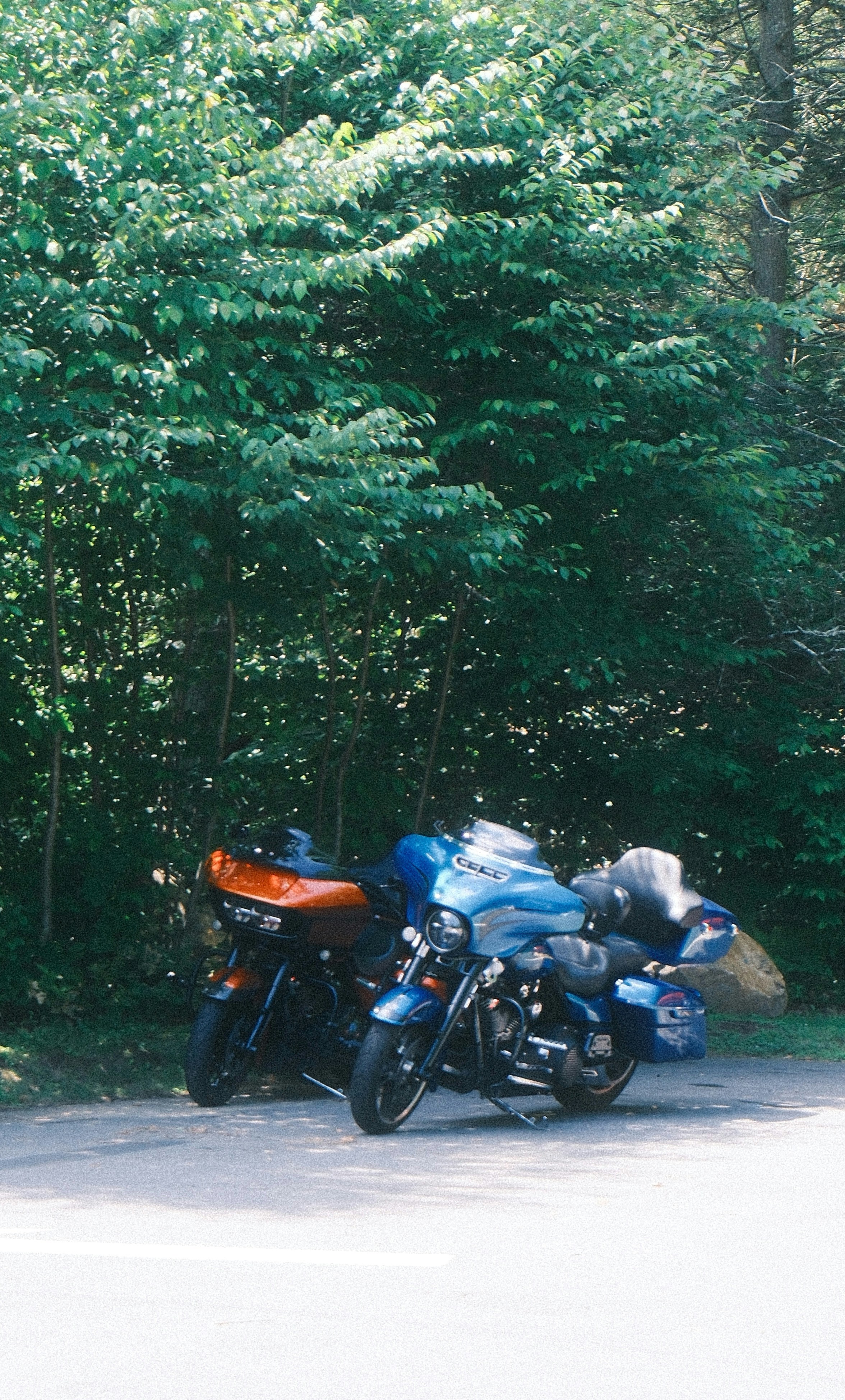 Blue Touring Twin parked under a leafy canopy