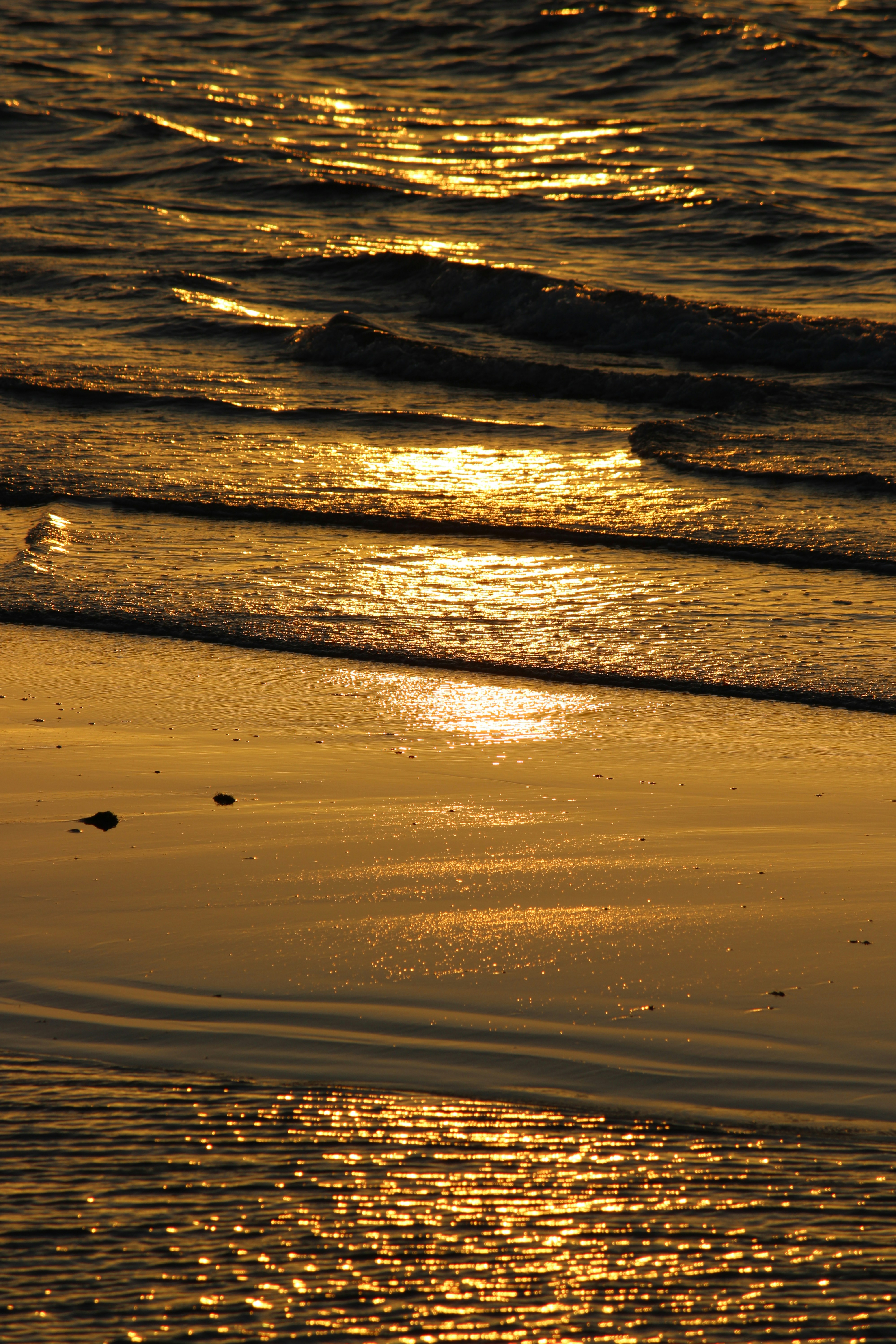 Golden Ripples: Sunset Light on Quiet Shore