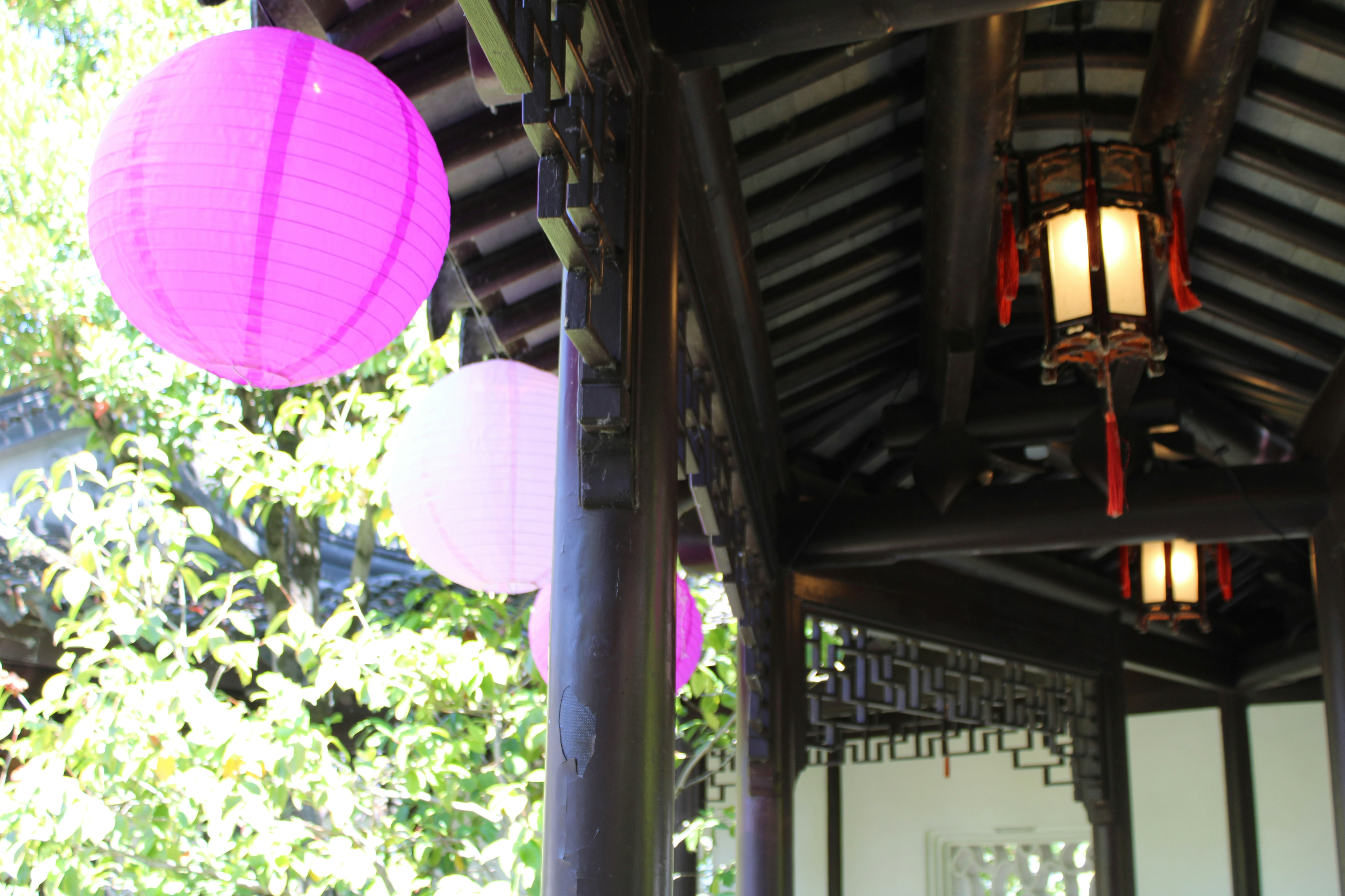 Purple Lanterns in a Quiet Traditional Courtyard