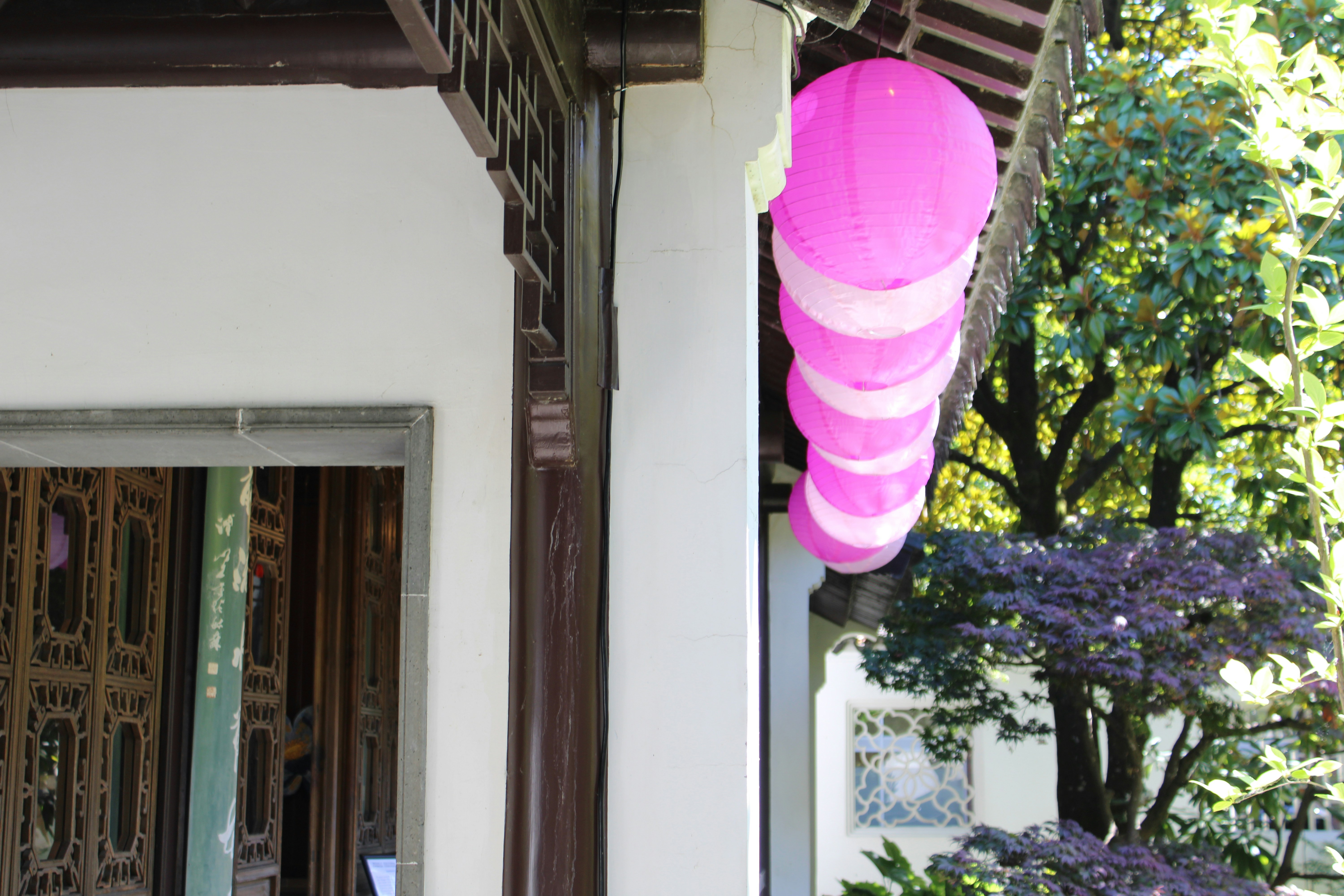 Pink lanterns lining a sunlit alley beside a traditional storefront