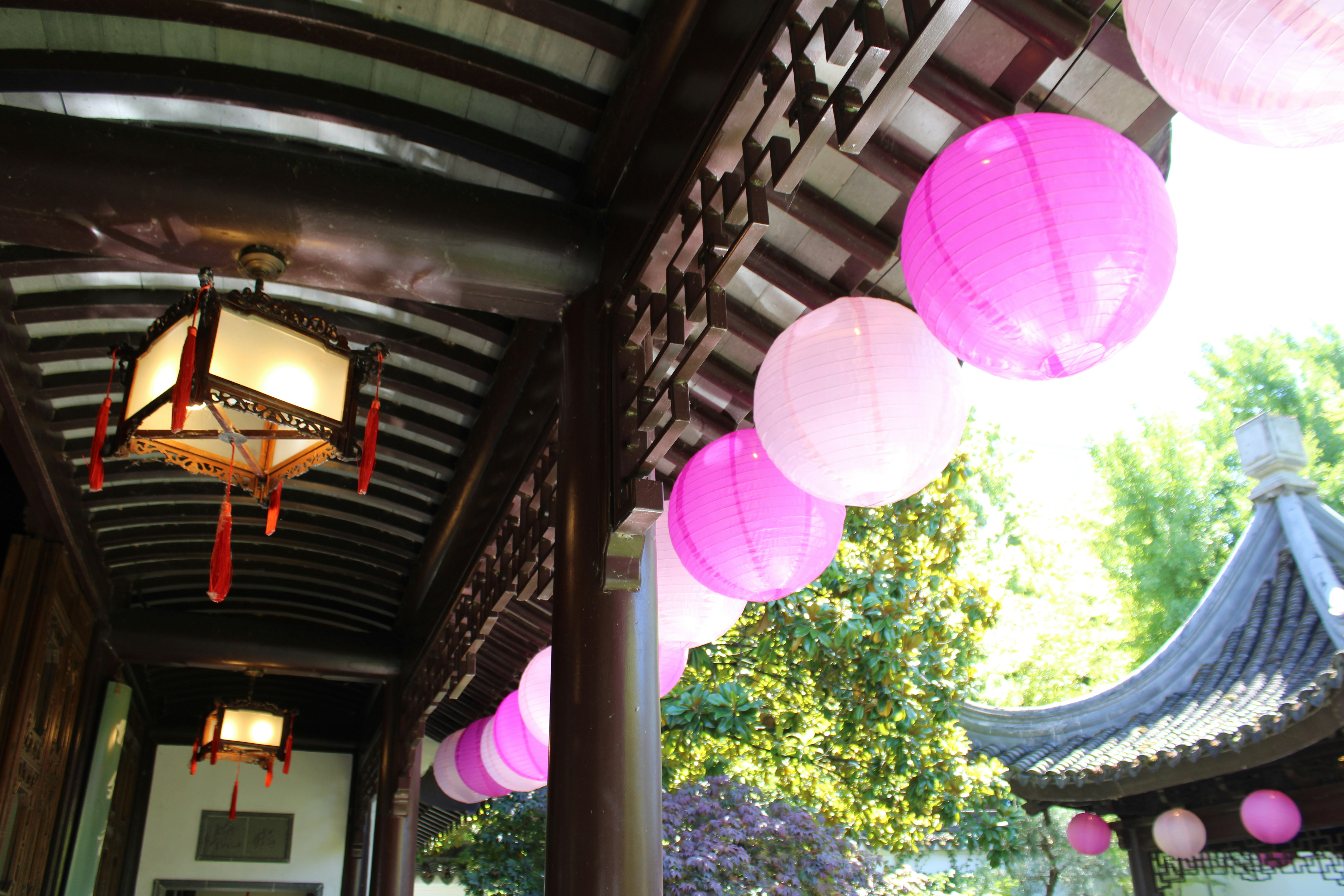 Lanterns in a Shaded Corridor: Pink Orbs Adorn the Temple Path