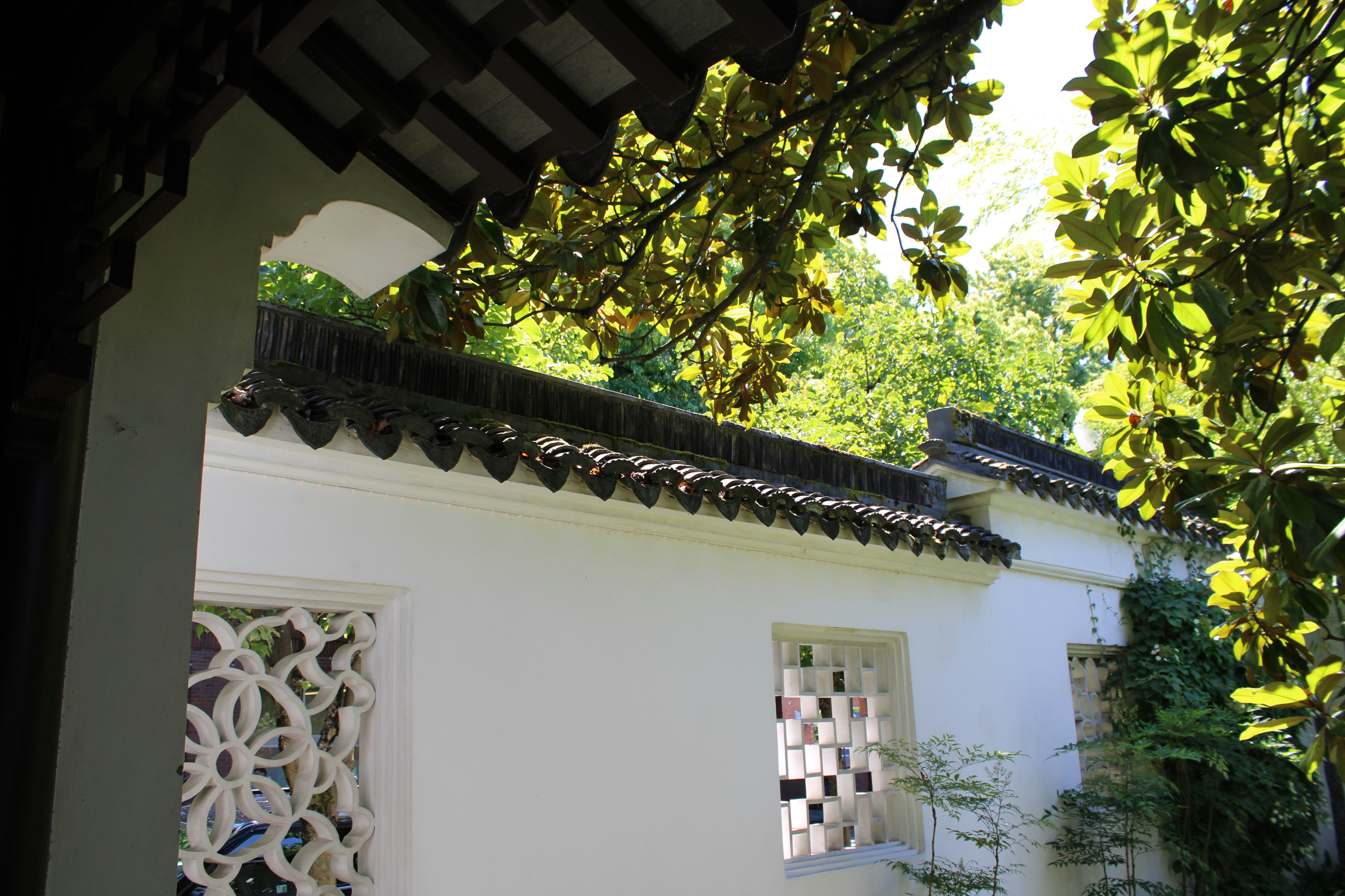Sunlit Amidst Traditional Tiles and Foliage