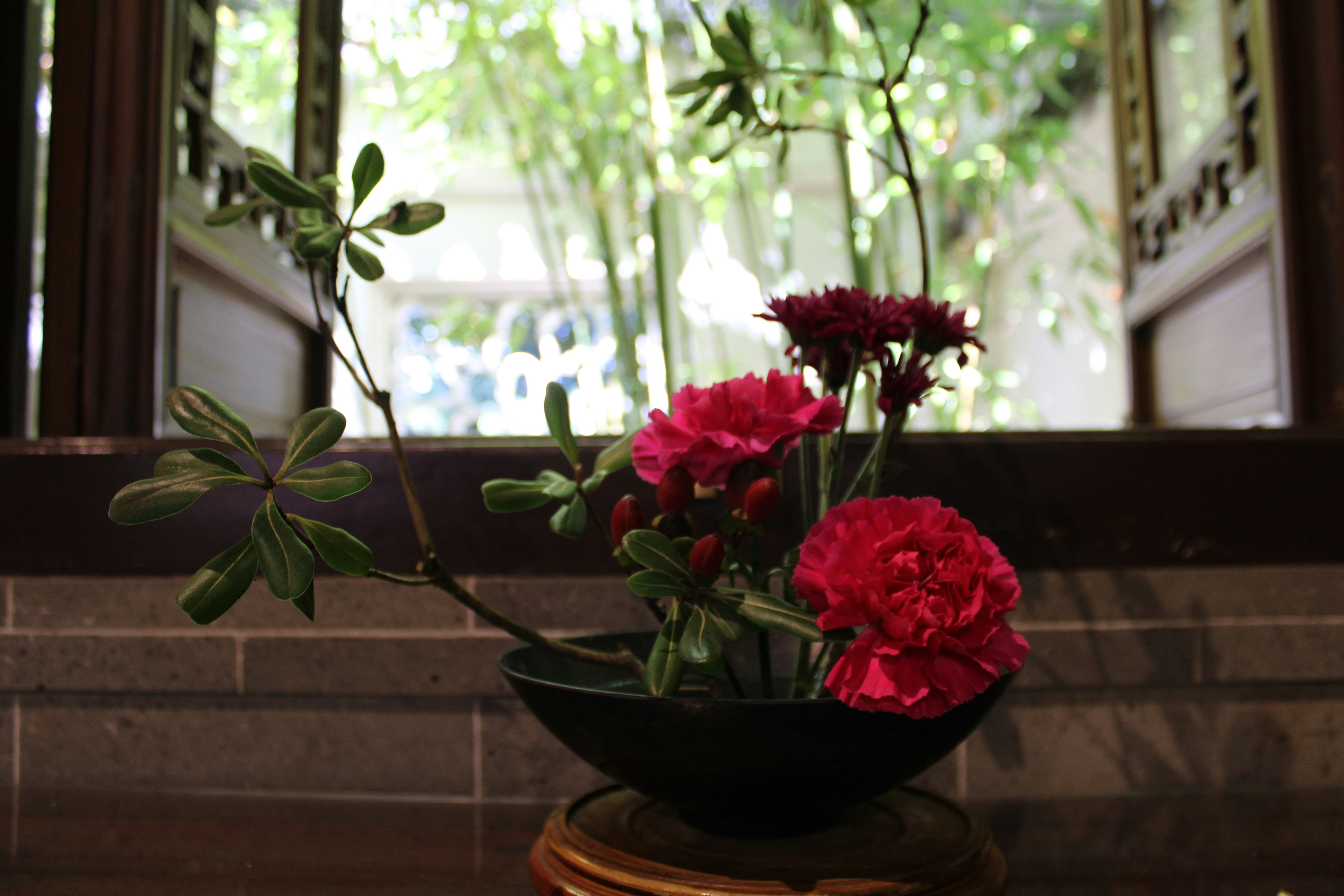 An elegant arrangement of deep red carnations and leafy sprigs rests in a low dark bowl on a windowsill overlooking a bamboo garden.