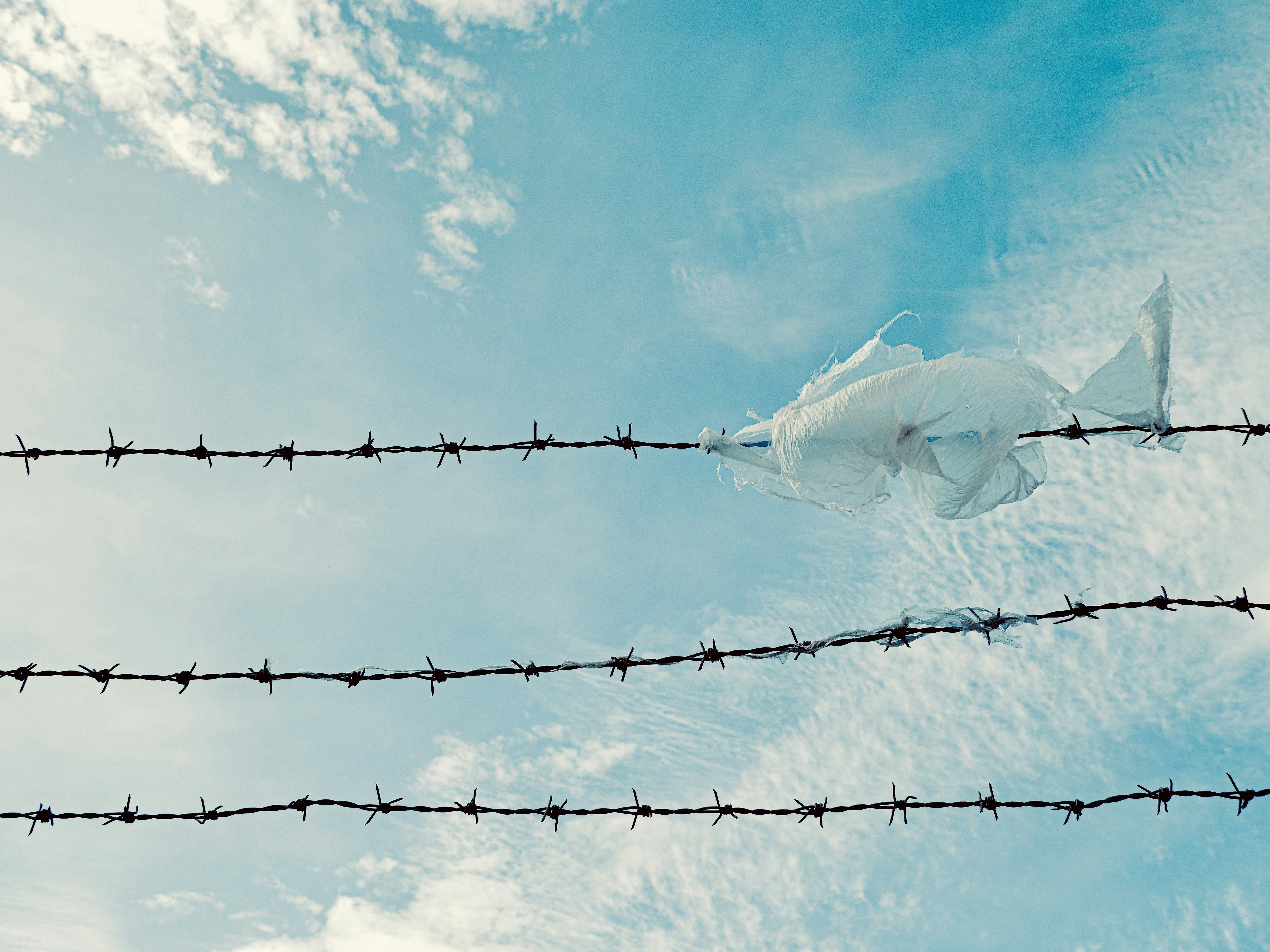 Barbed Wire Crescent: A Torn Cloud Sculpture Against a Blue Sky