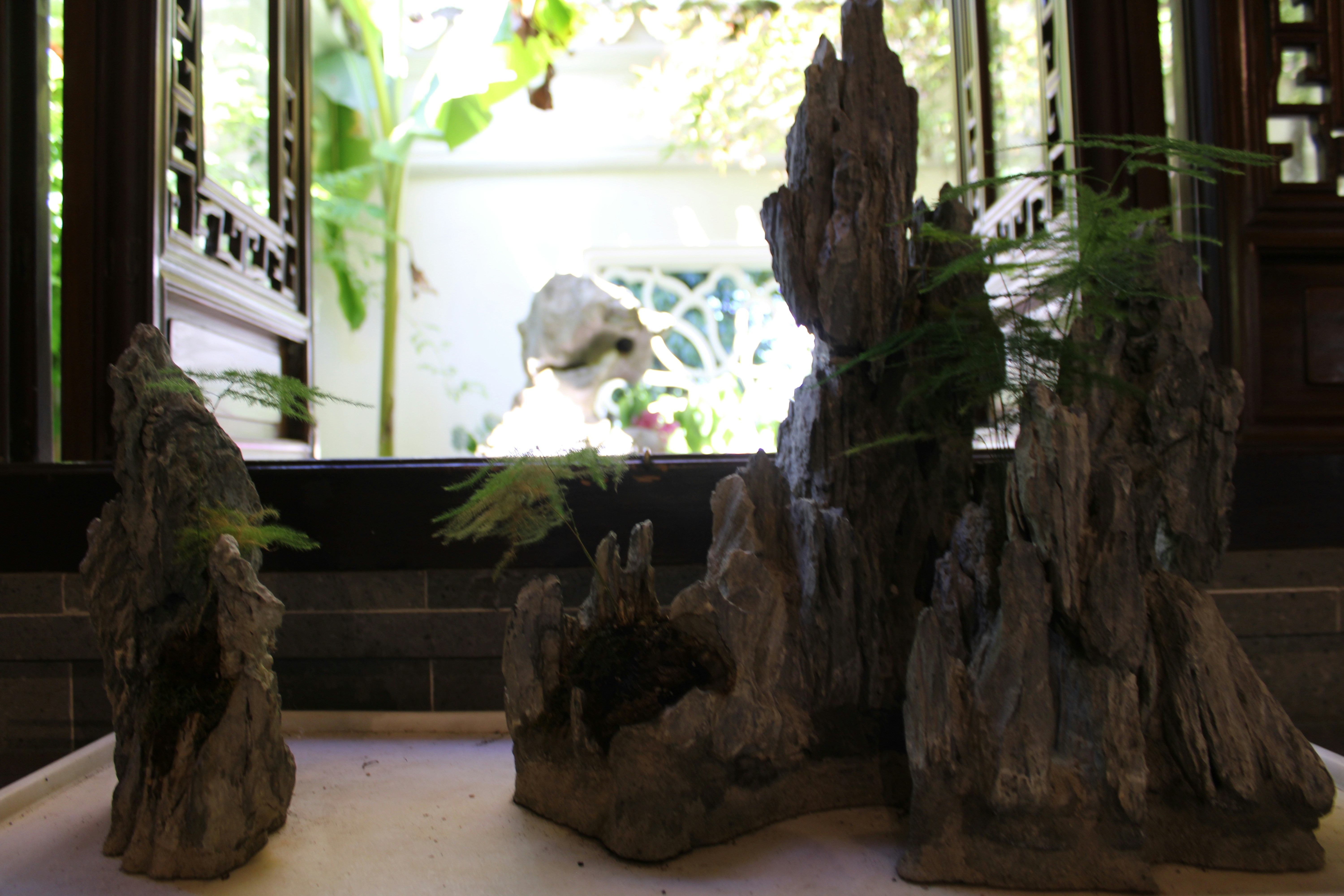 Miniature vertical rock formations accented with delicate fern sprigs rest on a ledge, framed by dark wood lattice windows looking out into a bright courtyard.