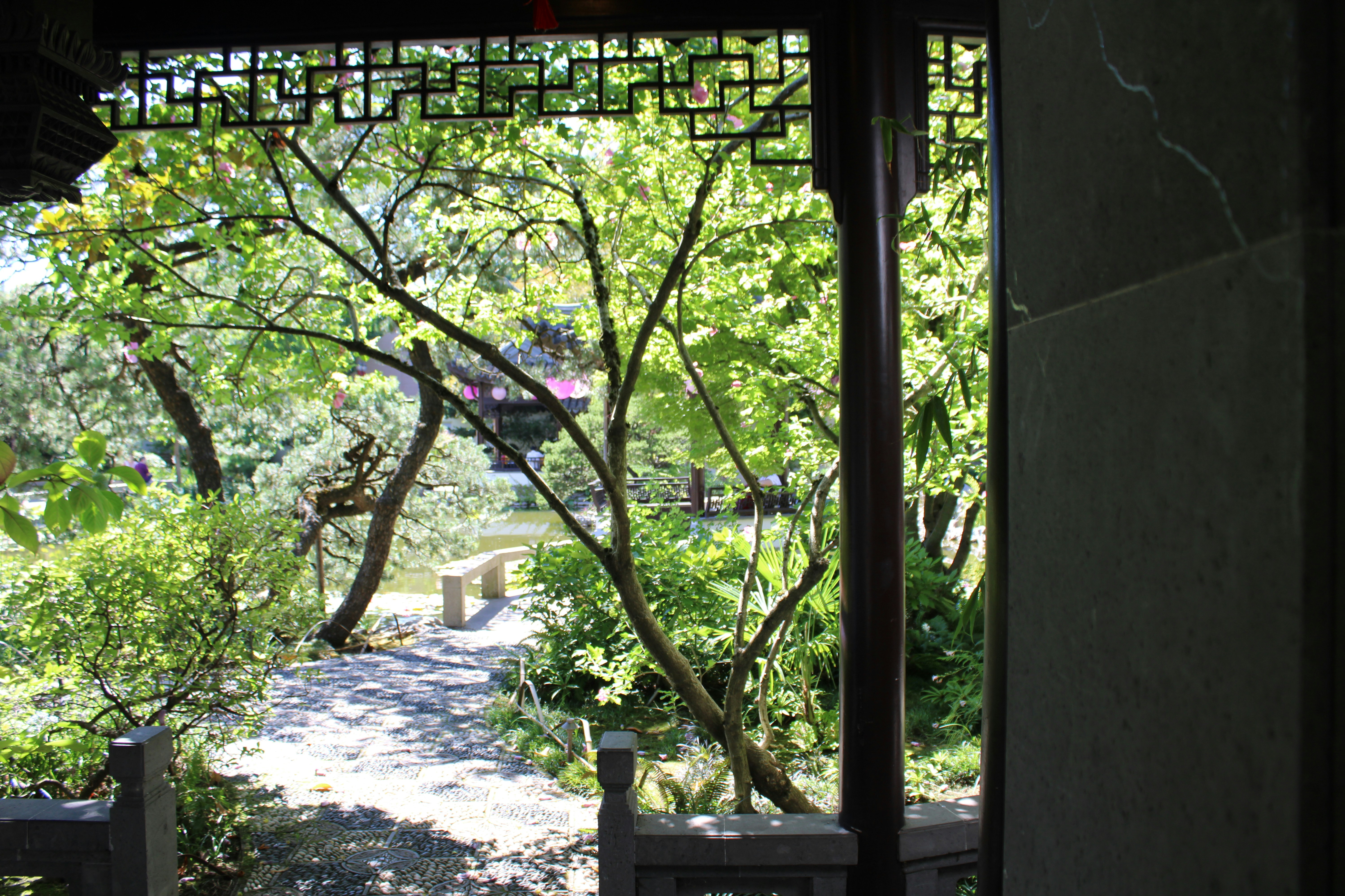 Sunlit Garden Corridor Framed by Traditional Architecture