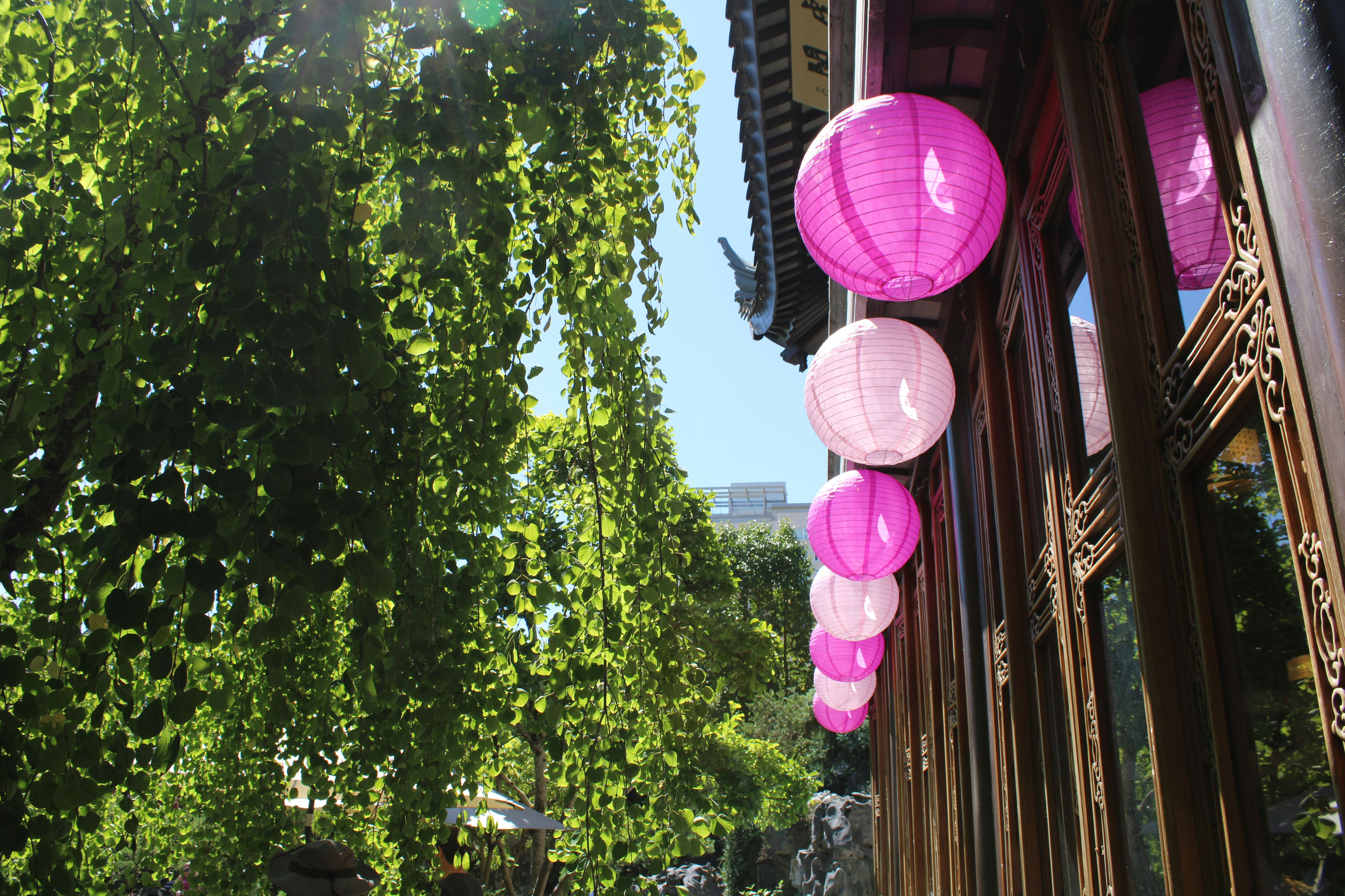 Lanterns in Bloom: Pink Orbs Along a Traditional Façade