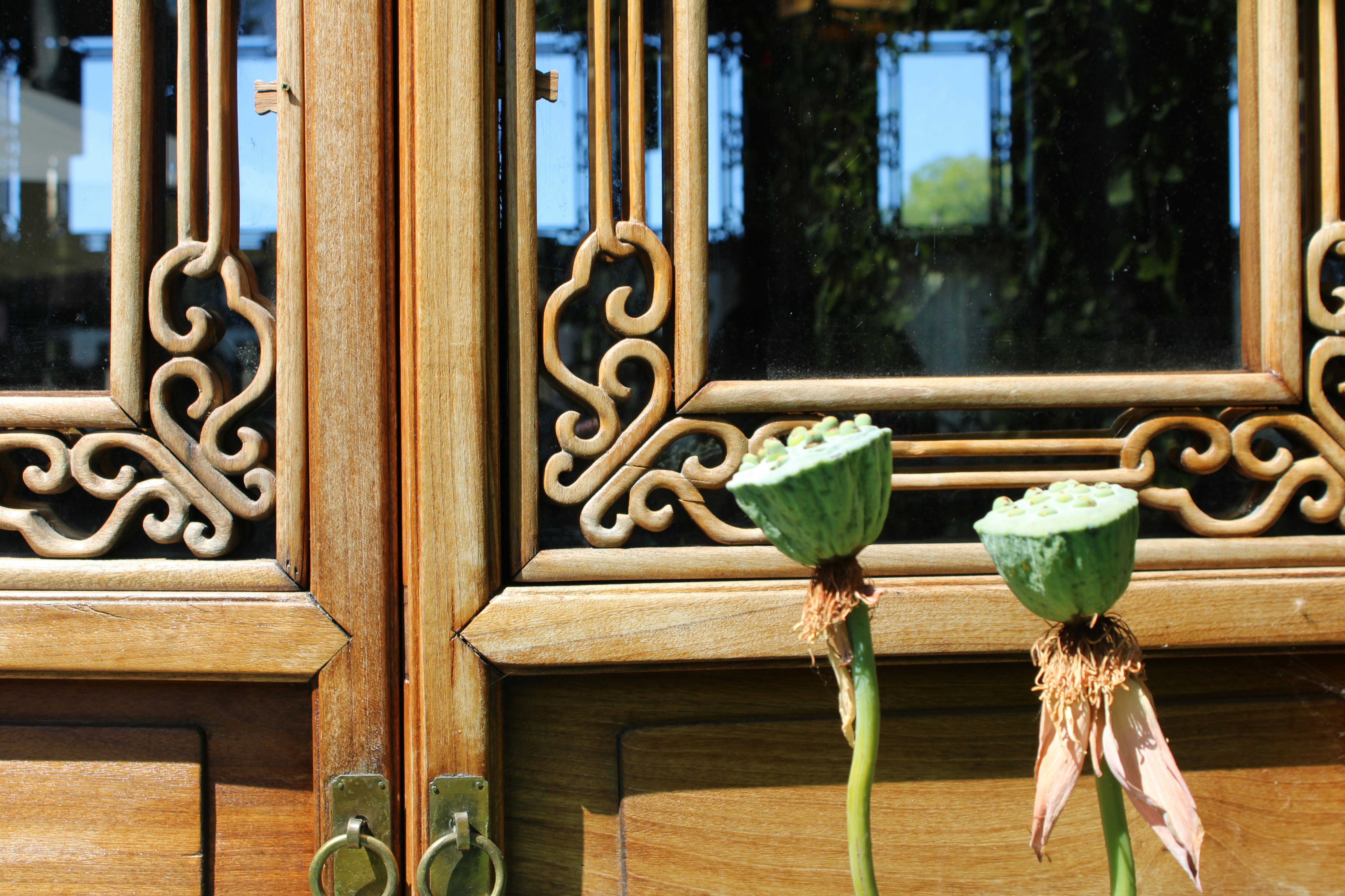 Sunlit Gatekeeper: Withered Flower Buds in Front of Carved Doors