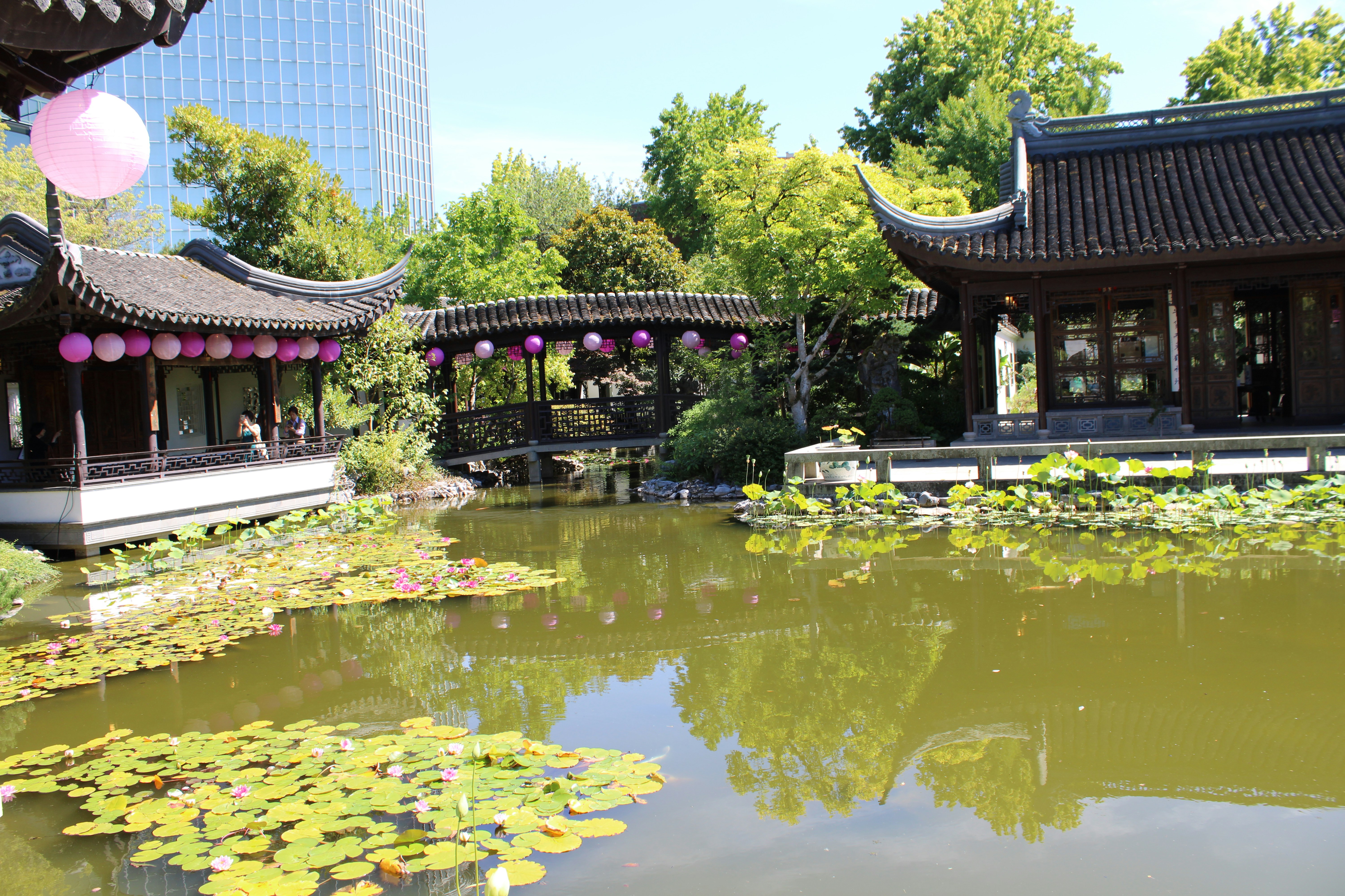 Blue-ink Reflections: A Tranquil Temple Pond in Bloom