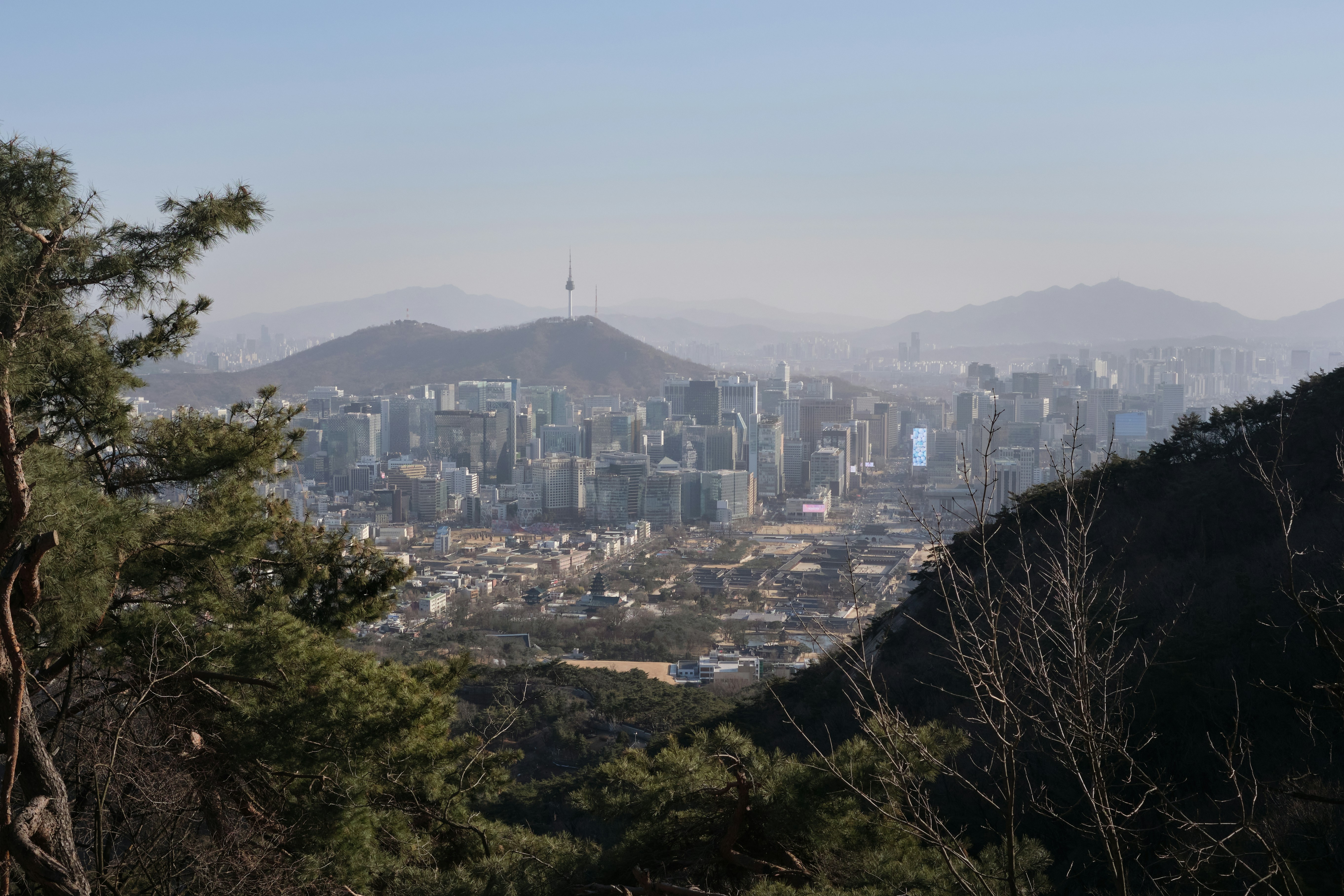 City Crowned by Hills: Seoul Skyline Above Tree-Framed Ridge