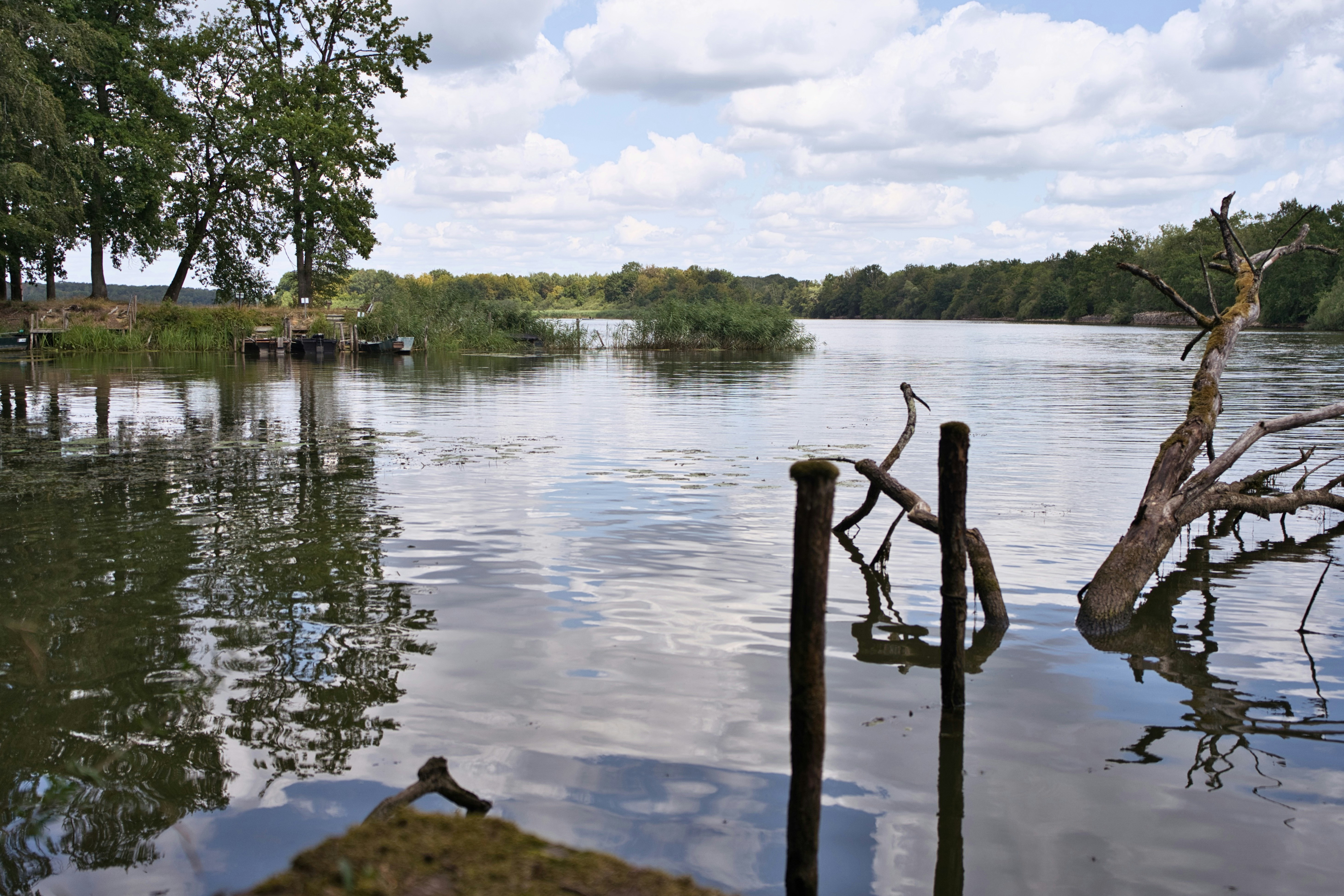 Still River Remnants: A Quiet Scene with Weathered Posts