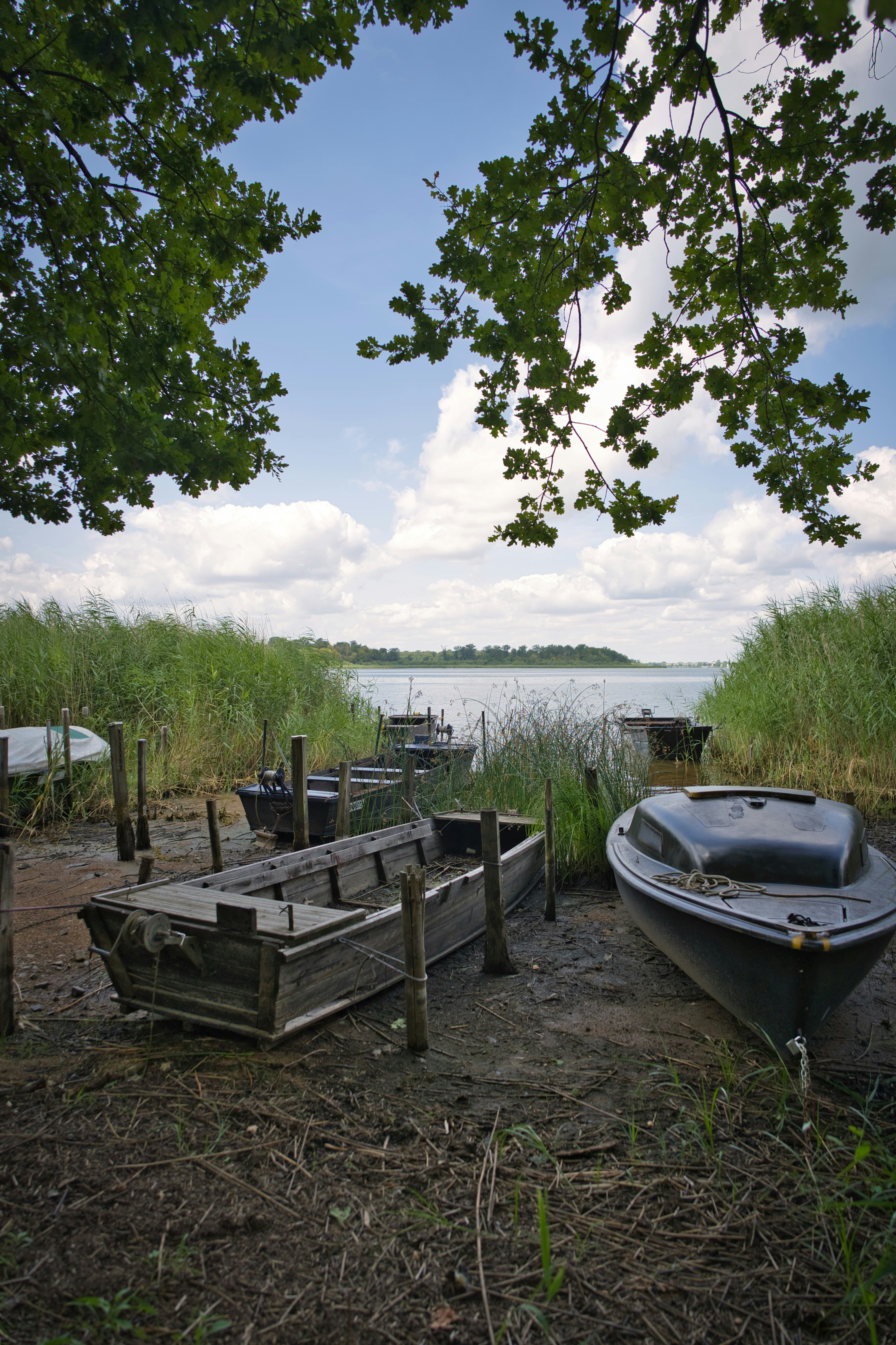 Boats Resting at the Shoreline Under a Framed Sky