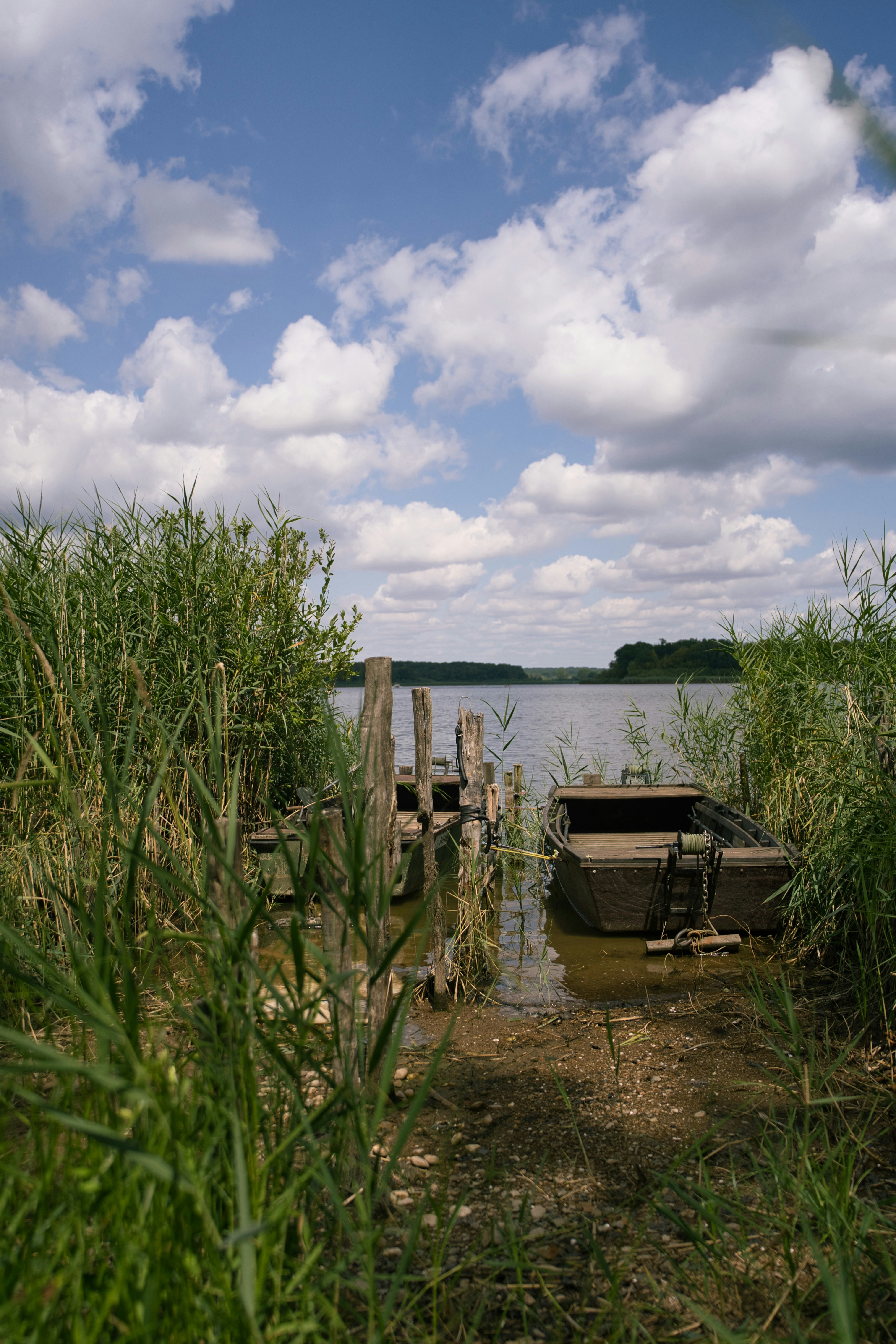 Abandoned Docks at the Quiet Lake