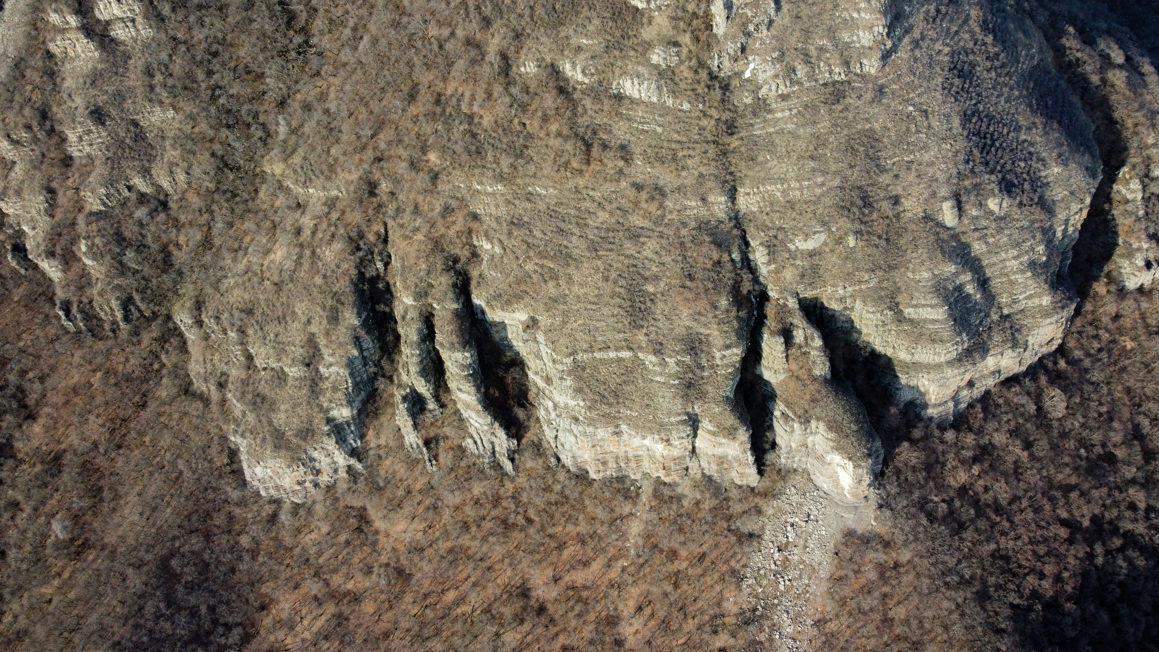 Granite Veins and Erosion:A Portrait of Time in Rock