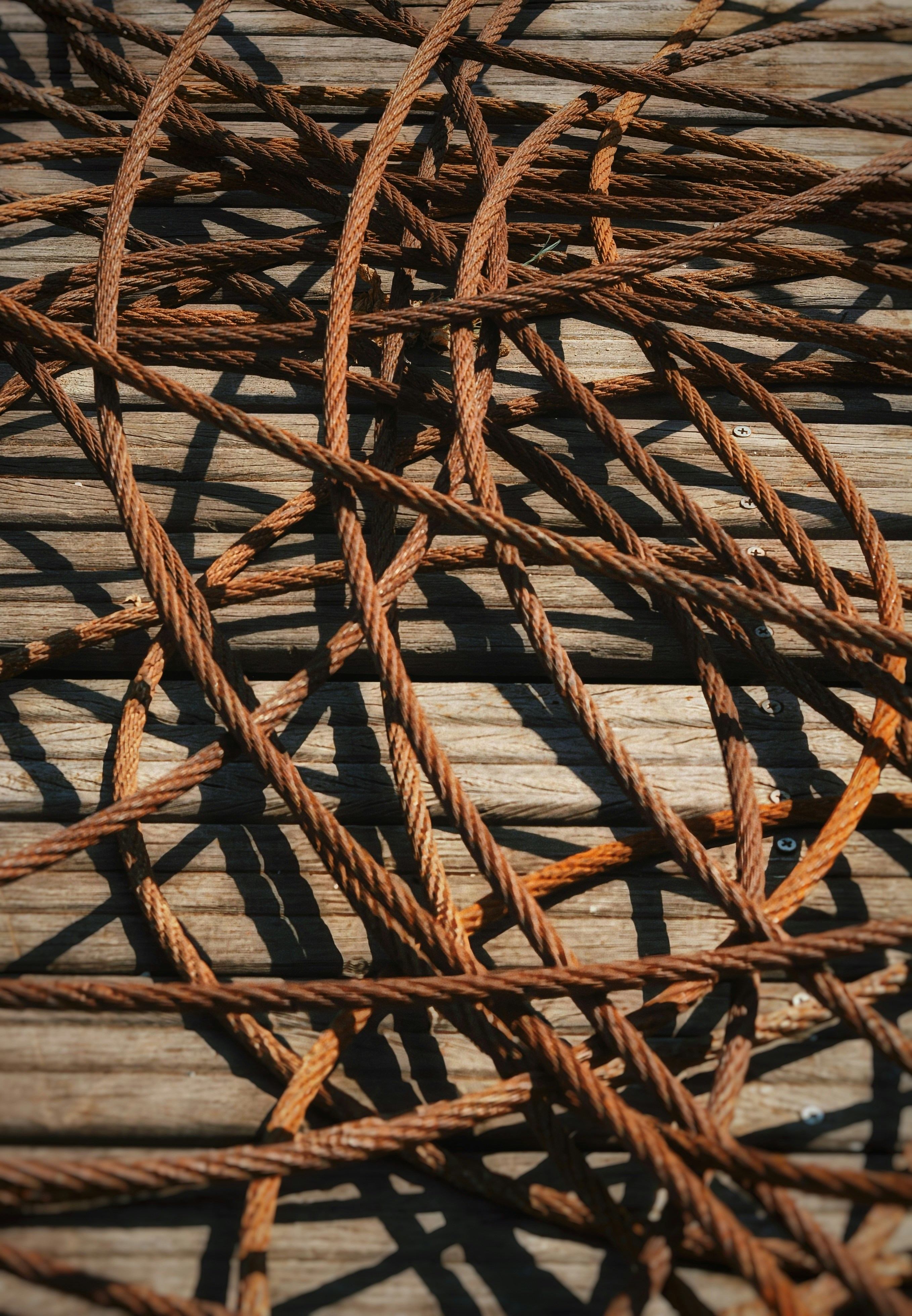 Rusty Tangle: A Close-Encounter with Weathered Steel Lines
