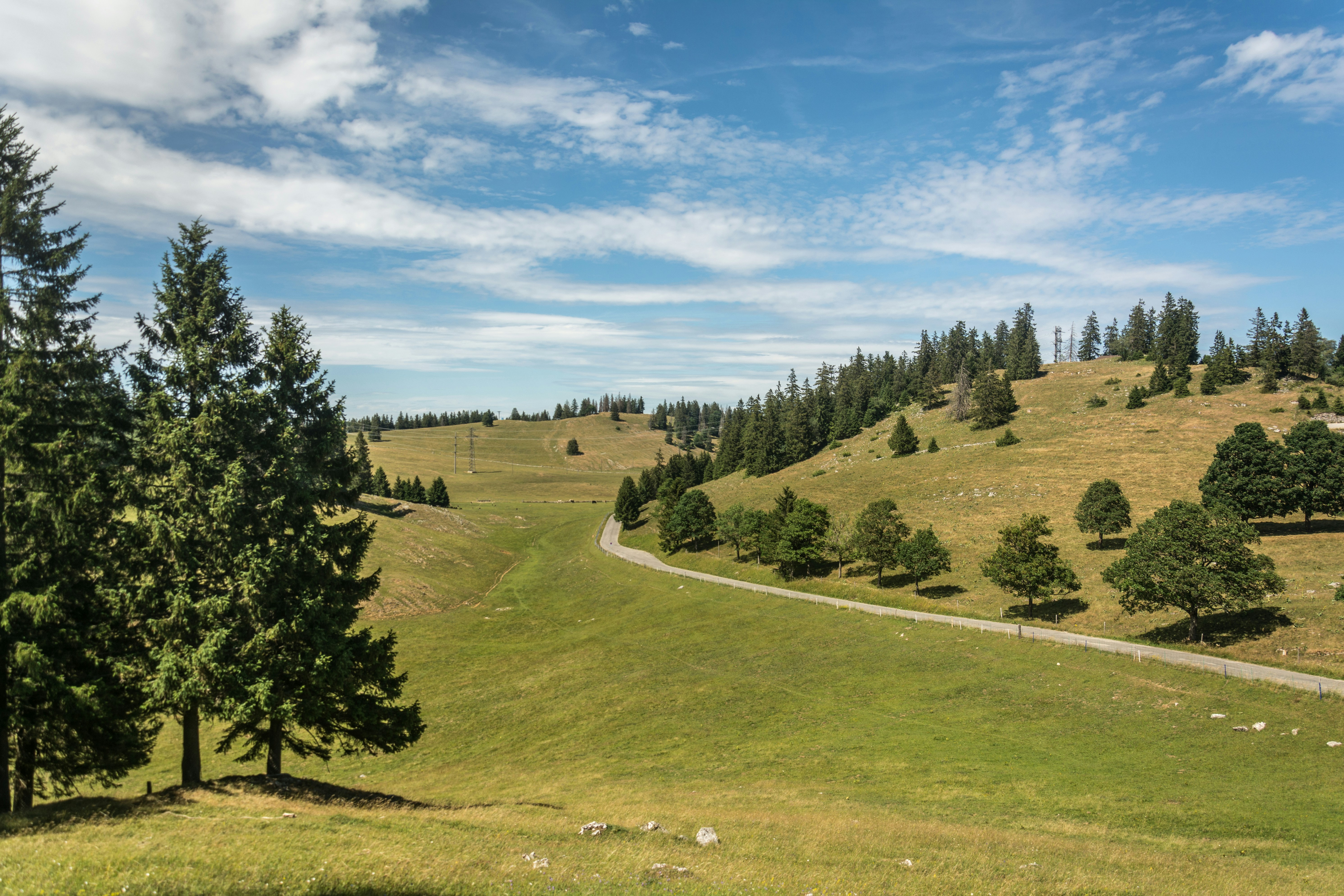 Rolling Hills and a Winding Lane under a Bright Alpine Sky