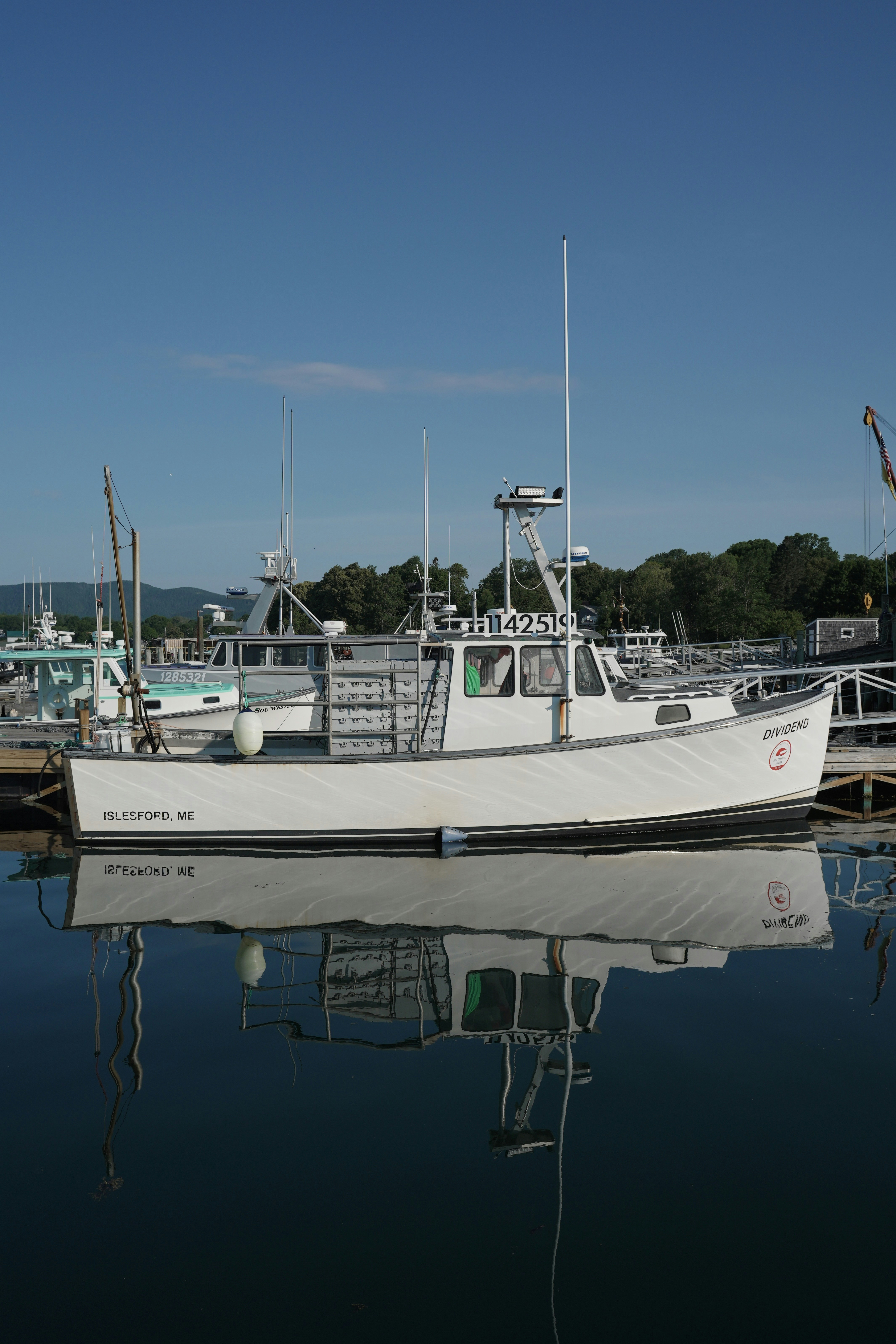 Harbor Witness: A White Fishing Boat and Its Mirror Image