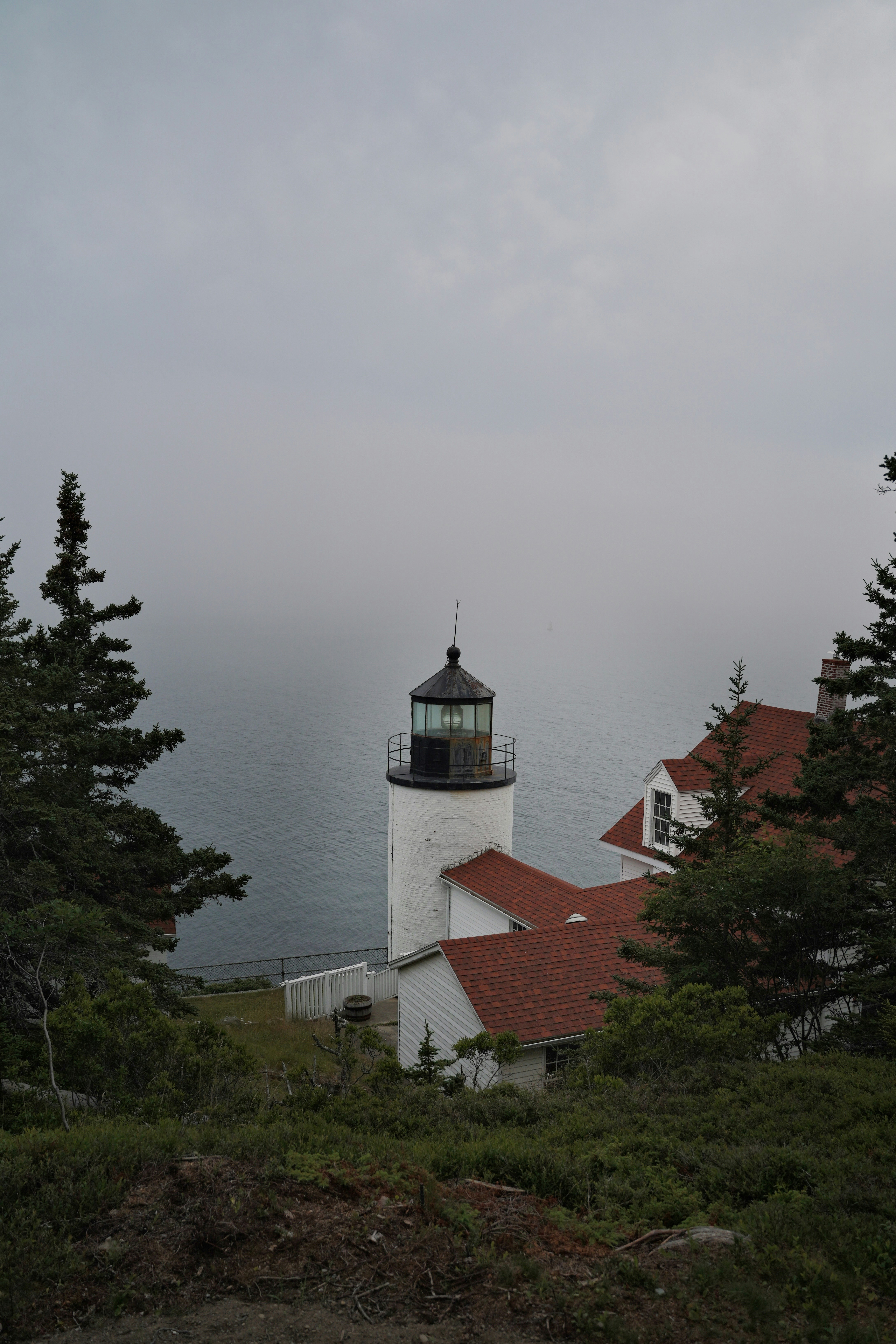 Lighthouse Overlook: Sea Smoke and Cliffside Cottage