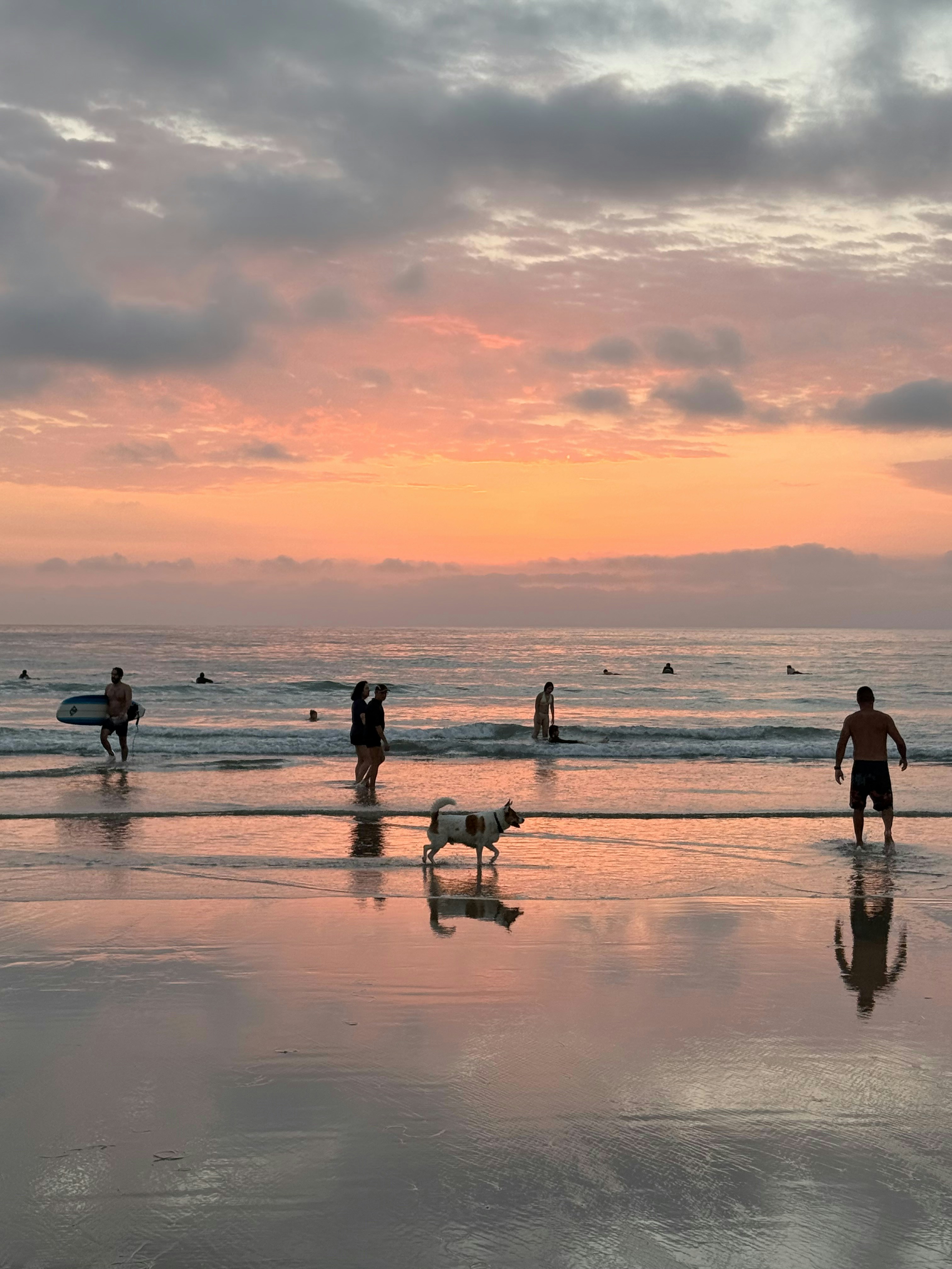 Silhouettes and Tide: Sunset Walk on the Quiet Shore
