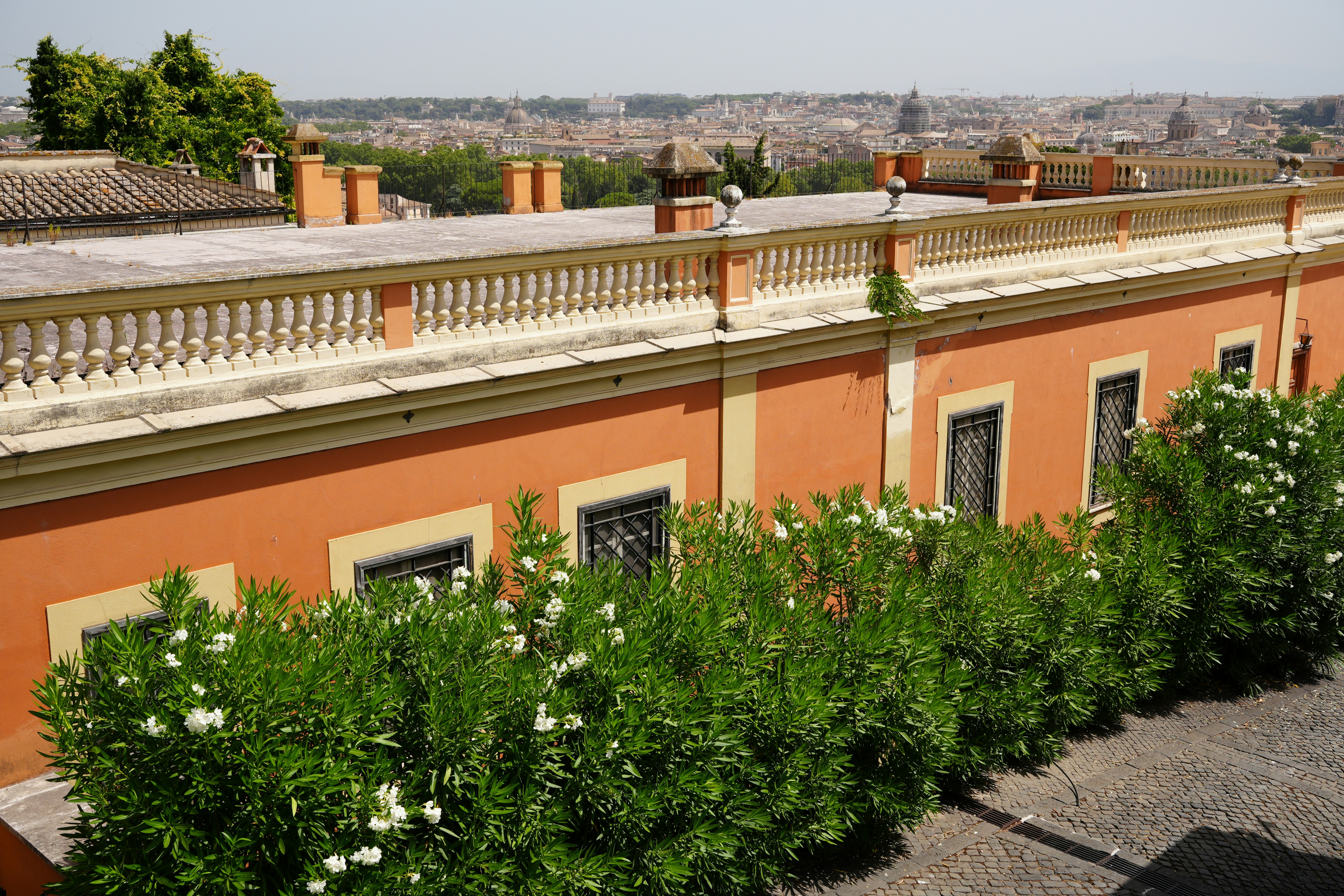 Terracotta Balcony Overlook with Crimson Hedges and Distant Cityscape