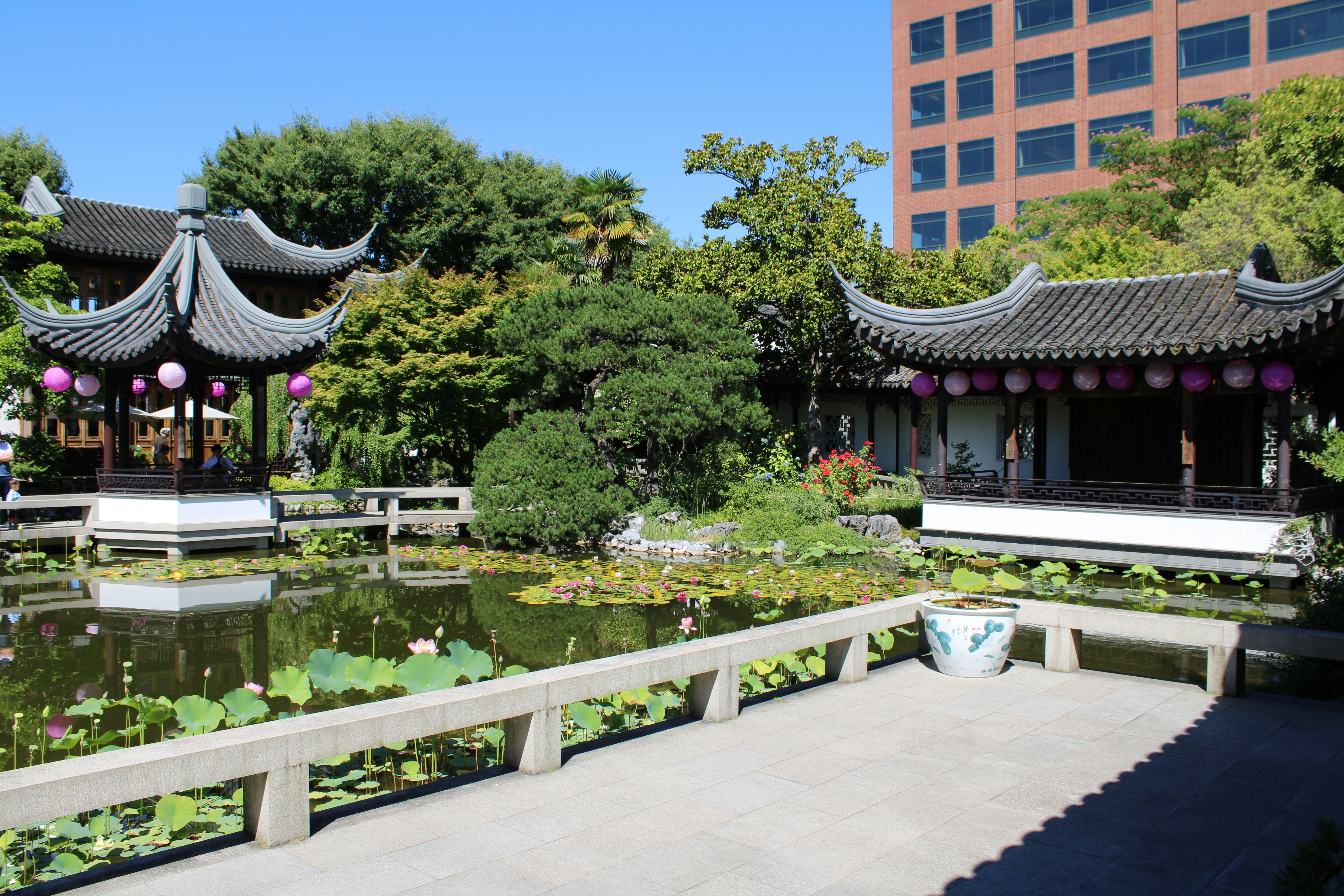 Serene courtyard pond framed by traditional pavilions under a city glow