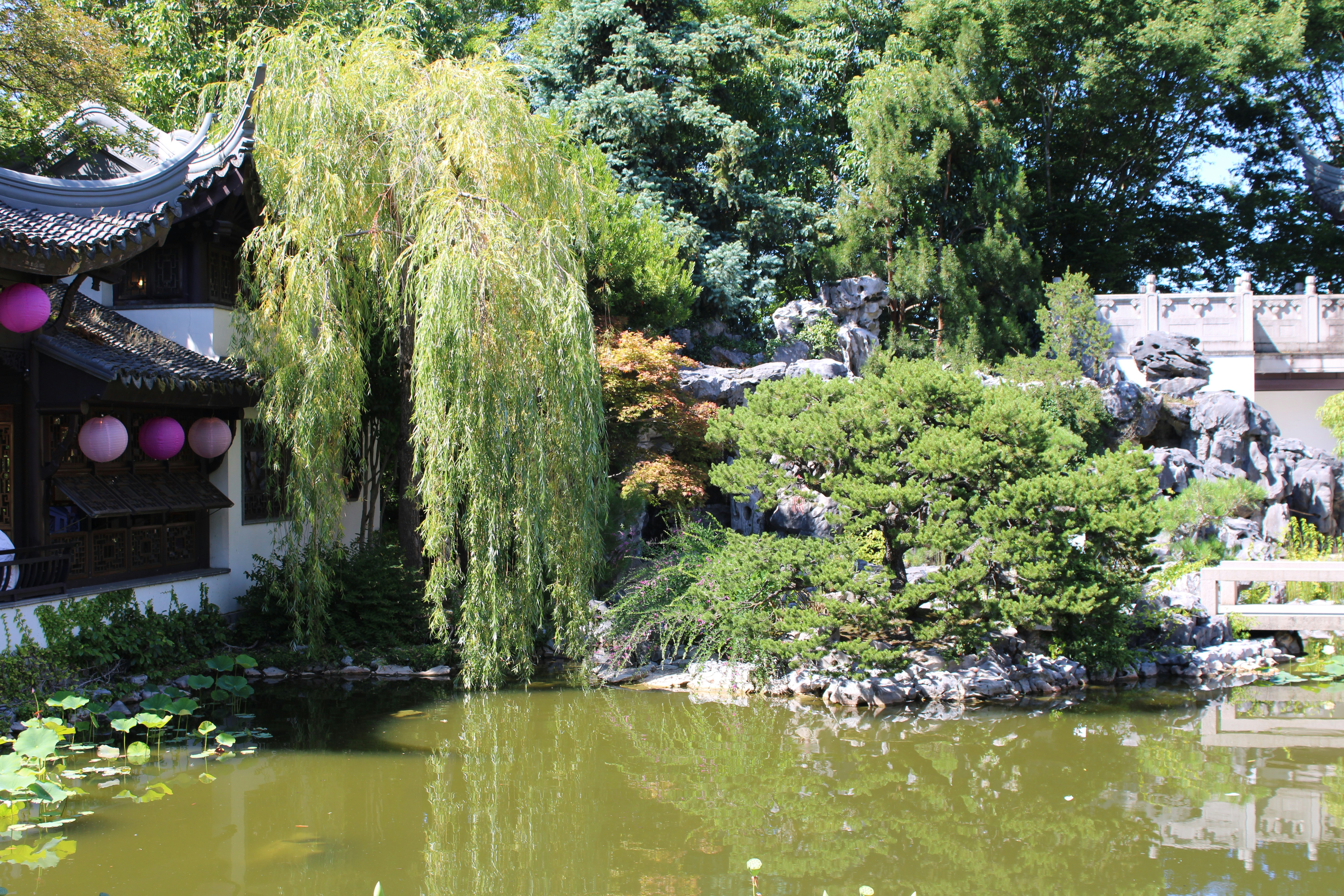 A weeping willow trails over a calm green pond bordered by dramatic stone rockeries and a classical Chinese building adorned with pink lanterns.