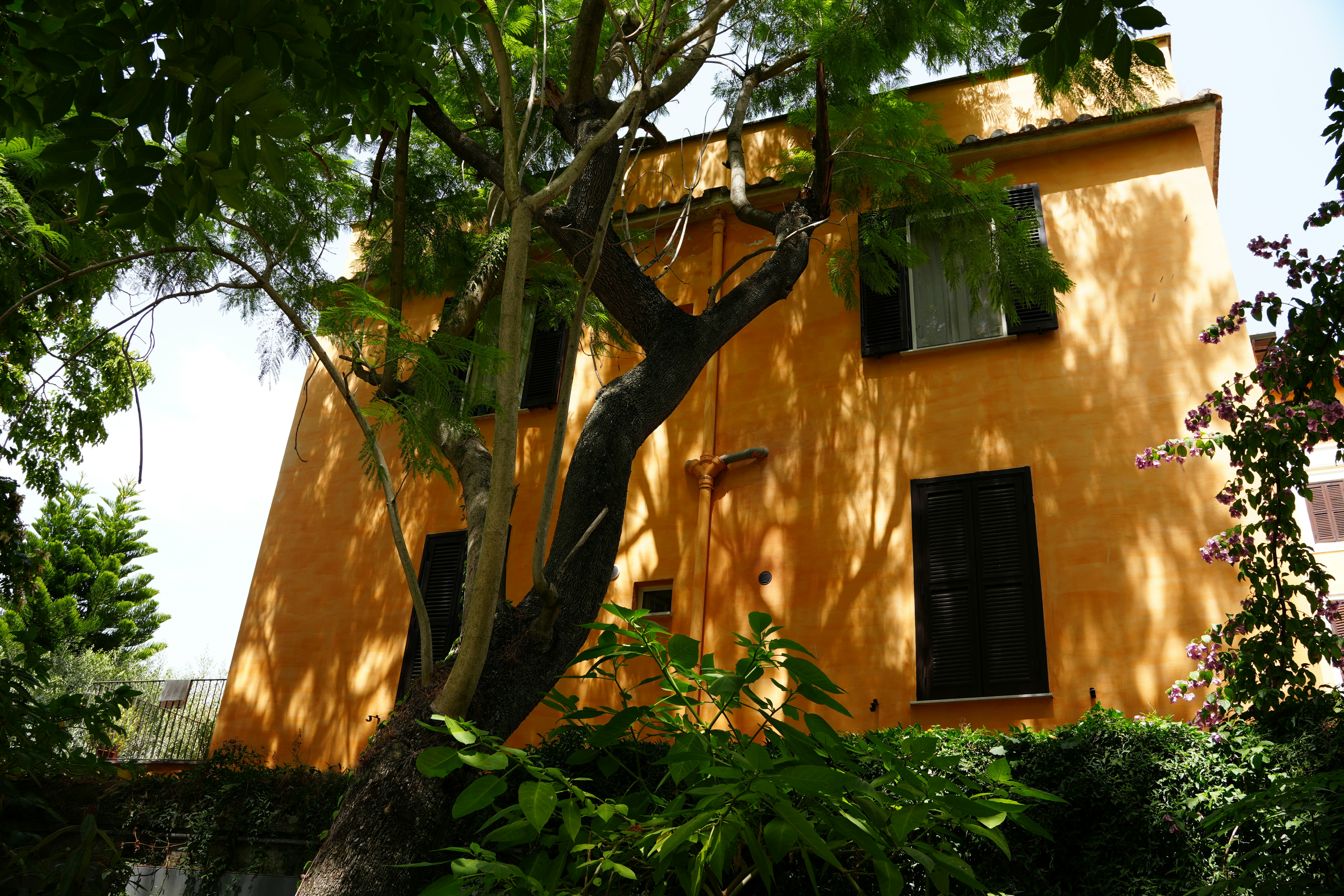 Sunlit Orange Facade Framed by Verdant Shadow